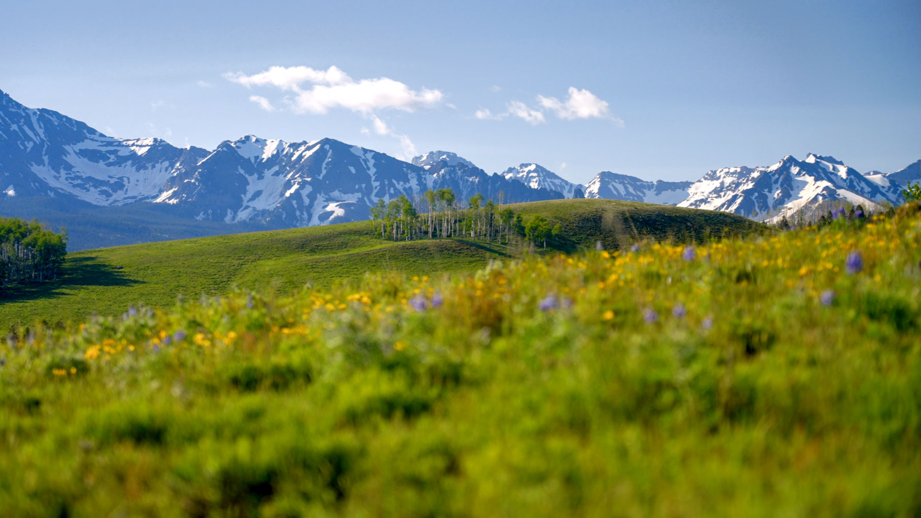 Homewood Ranch - For Sale - Colorado - Hall and Hall
