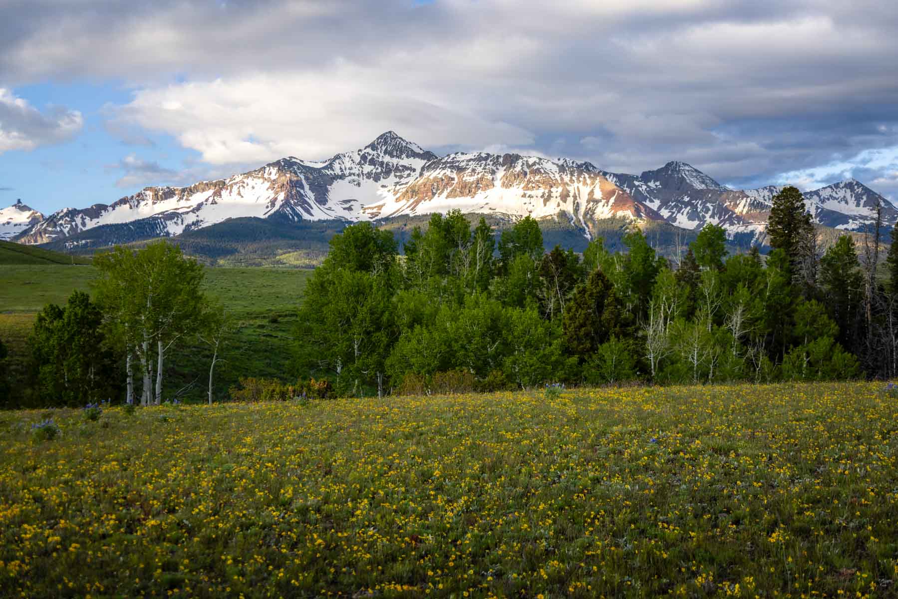 Homewood Ranch - For Sale - Colorado - Hall and Hall