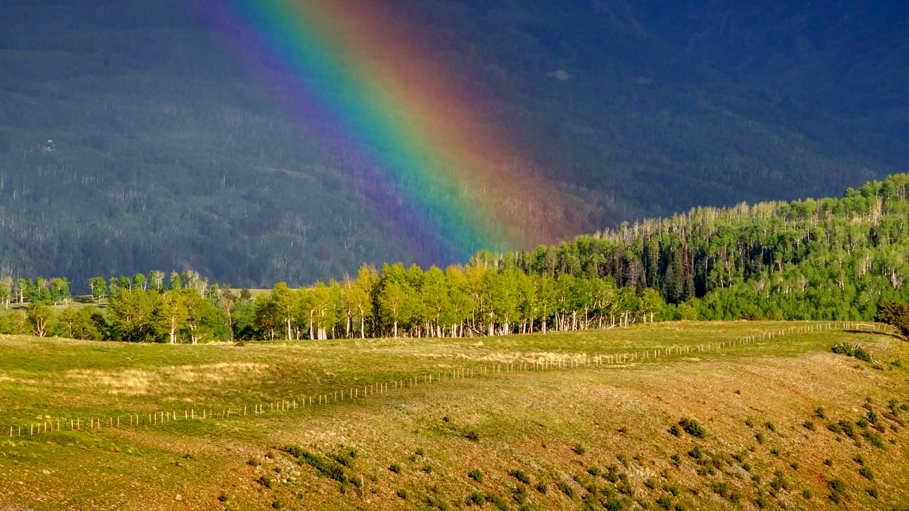 Homewood Ranch - For Sale - Colorado - Hall and Hall