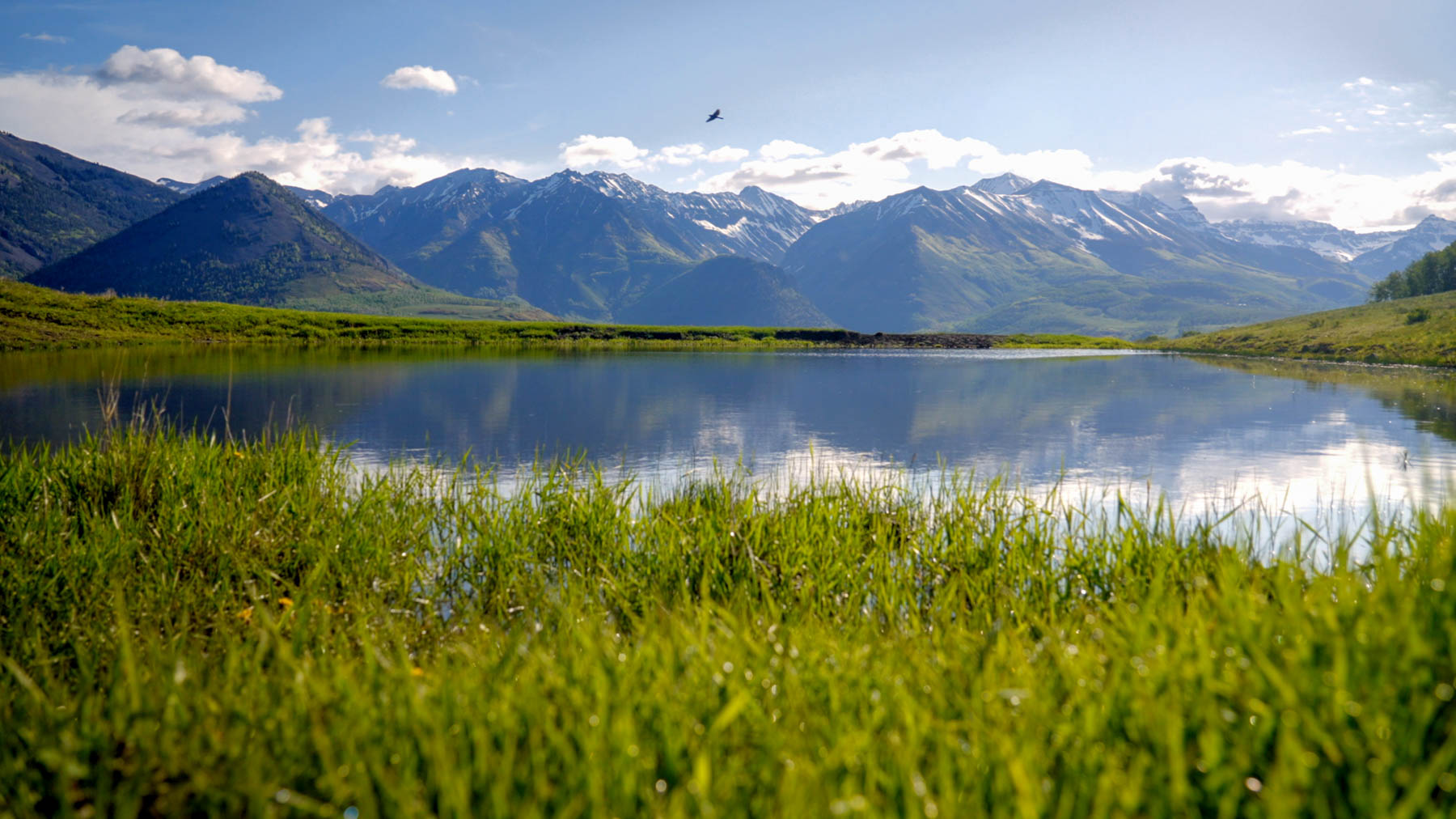 Homewood Ranch - For Sale - Colorado - Hall and Hall