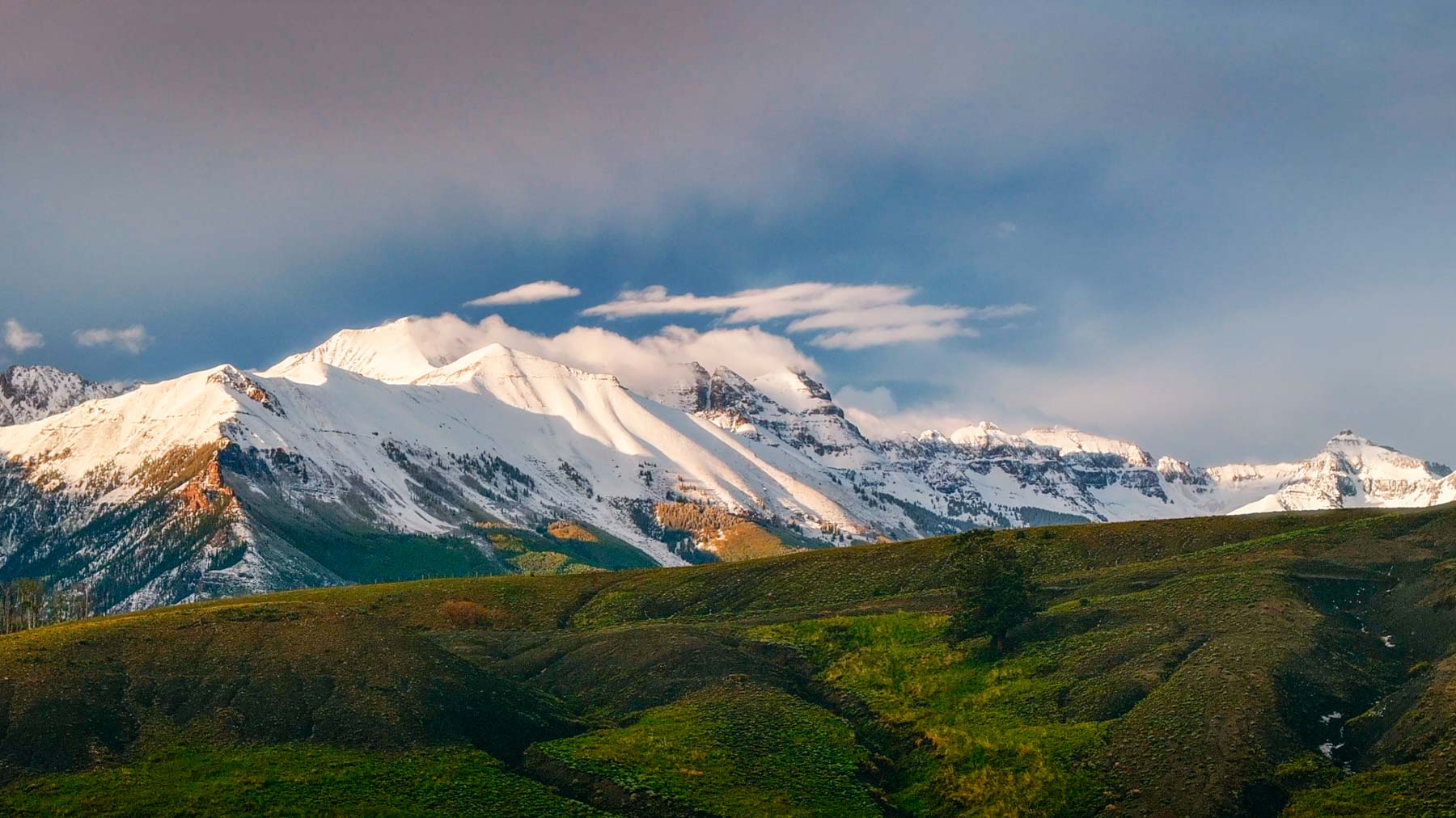 Homewood Ranch - For Sale - Colorado - Hall and Hall