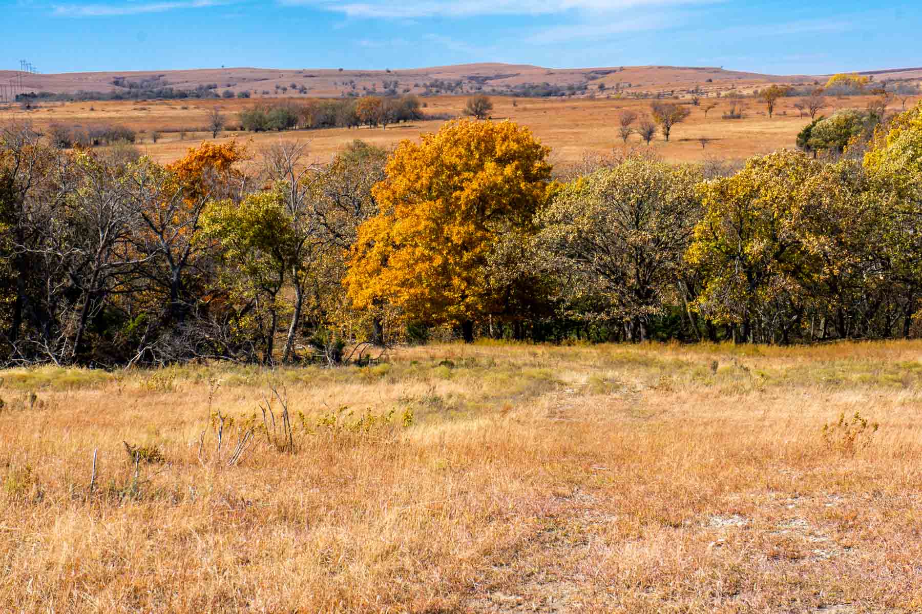 Spring Creek Ranch - Sold - Kansas - Hall and Hall