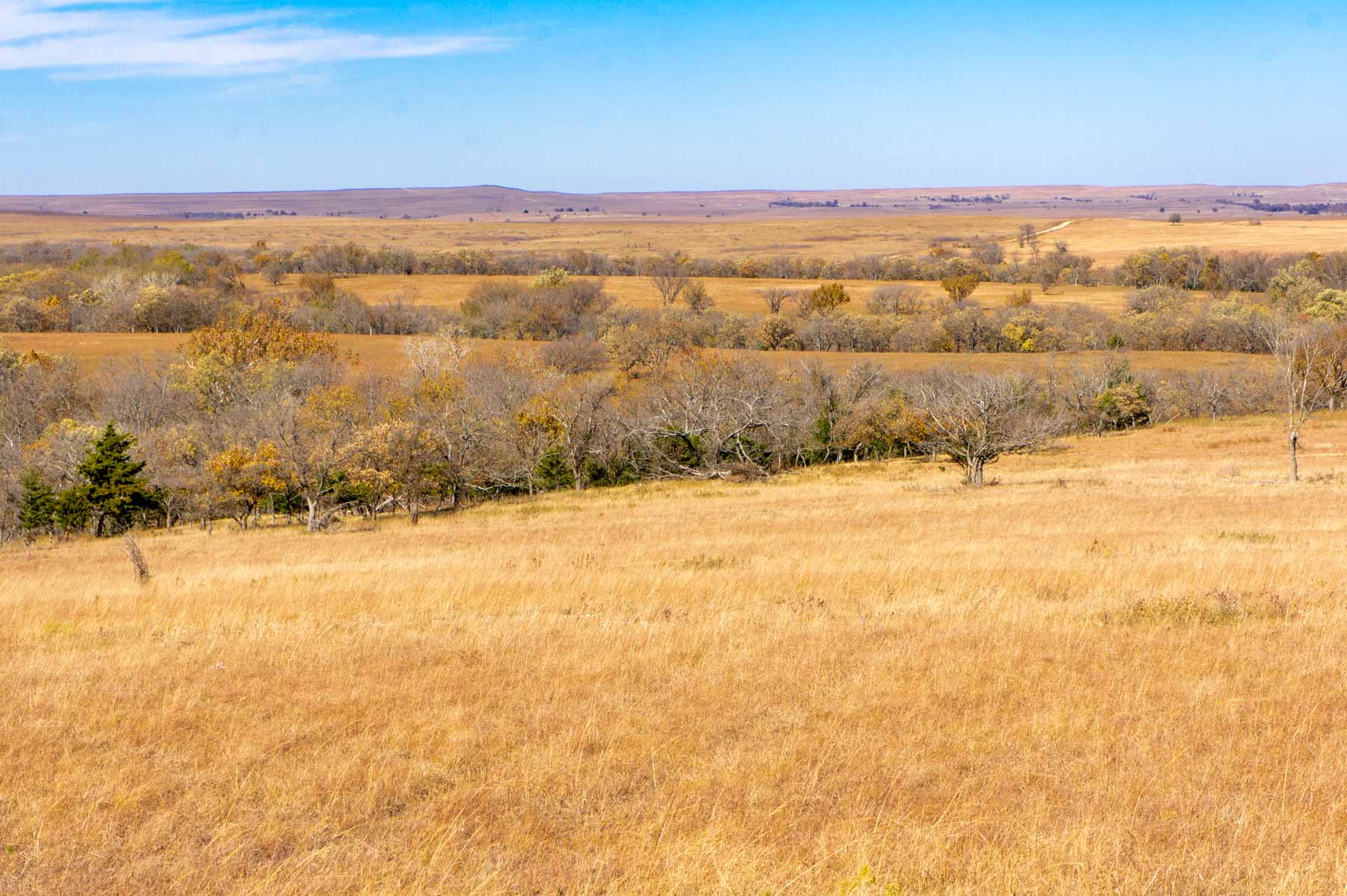 Spring Creek Ranch - Sold - Kansas - Hall and Hall