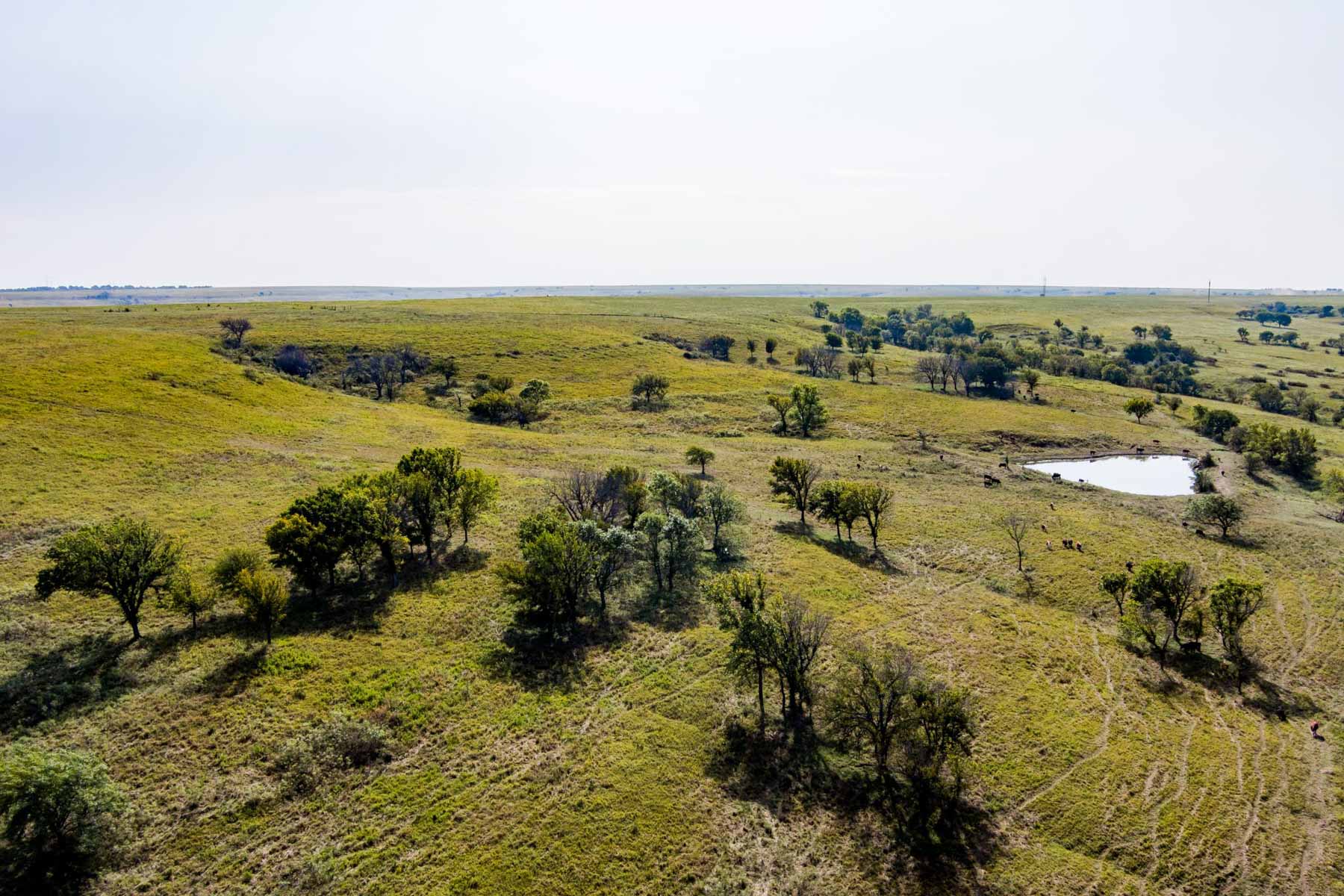 Spring Creek Ranch - Sold - Kansas - Hall and Hall