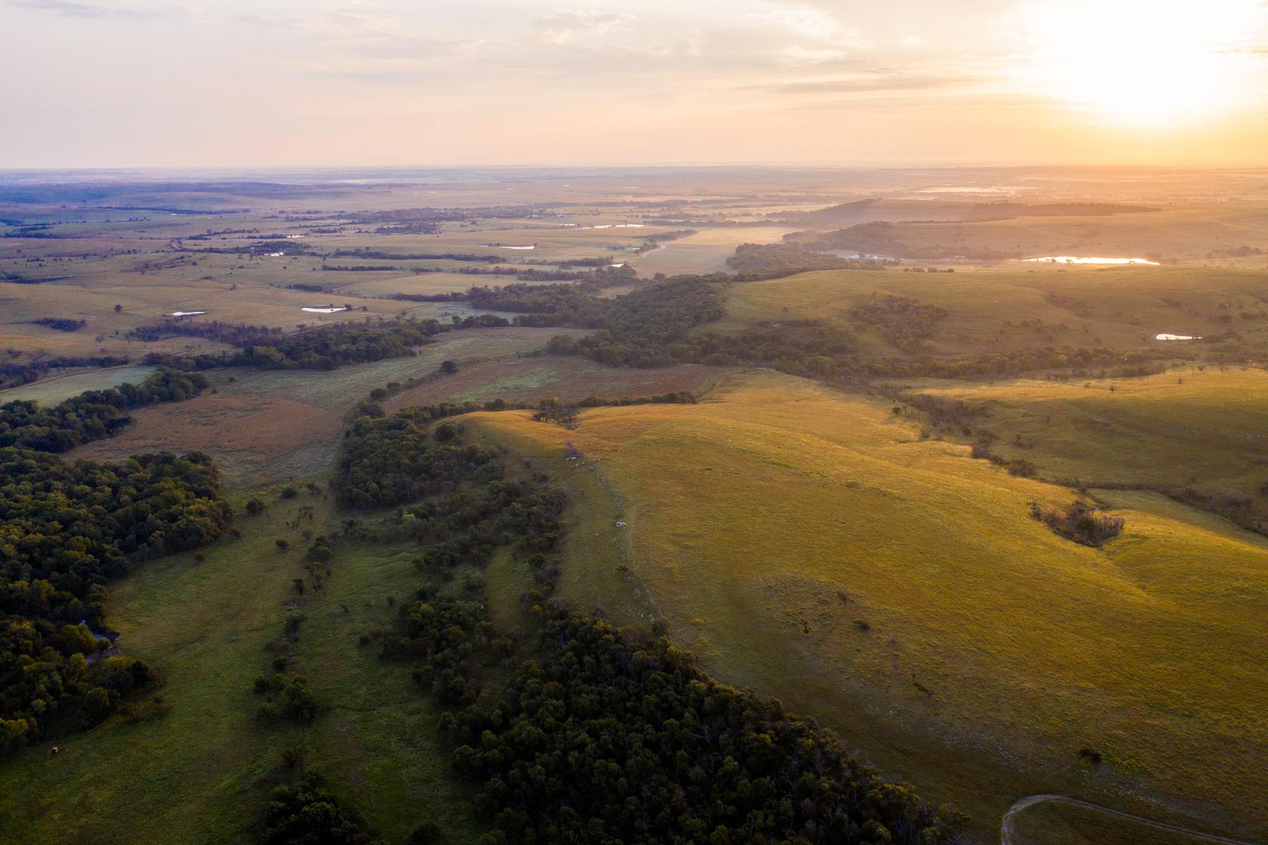 Spring Creek Ranch - Sold - Kansas - Hall and Hall