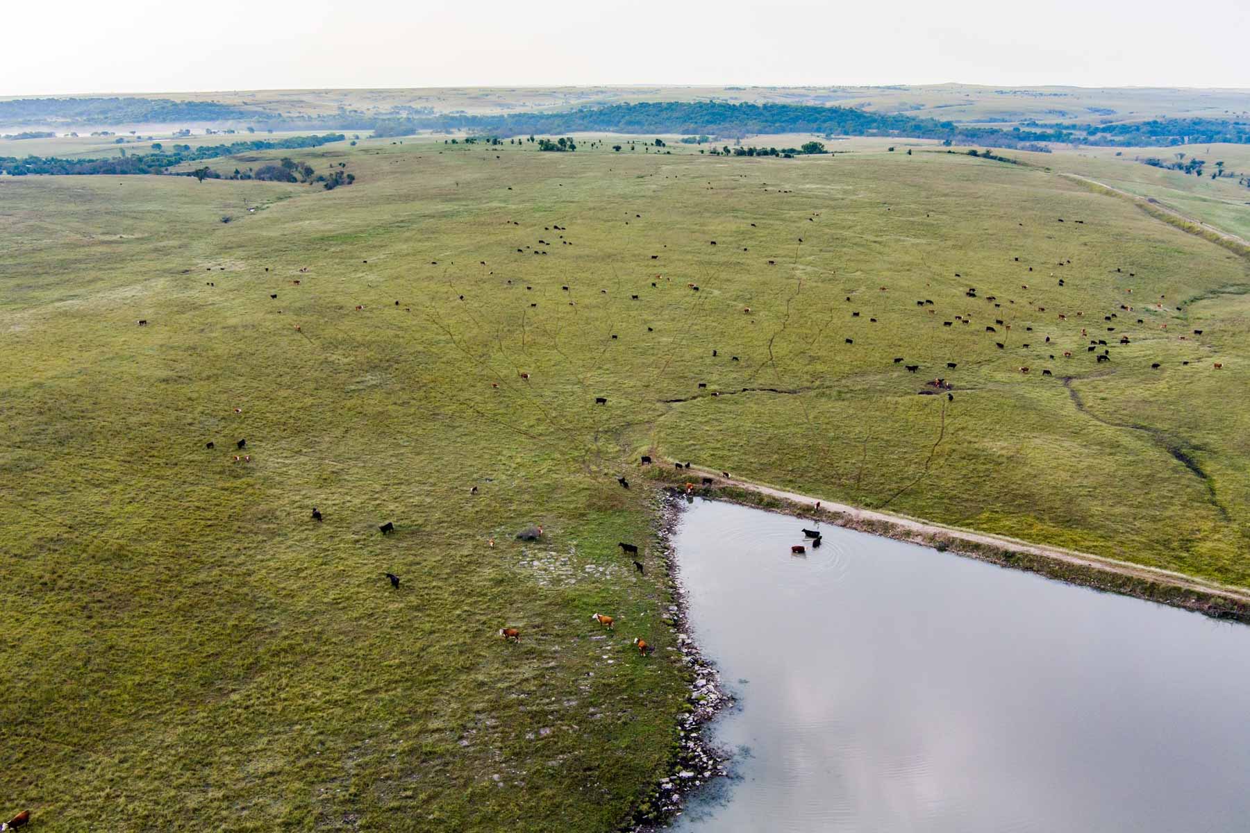 Spring Creek Ranch - Sold - Kansas - Hall and Hall