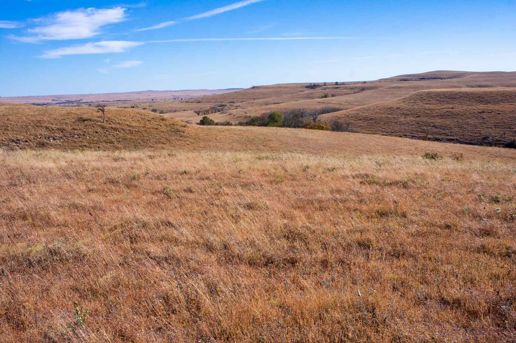 Spring Creek Ranch - Sold - Kansas - Hall and Hall