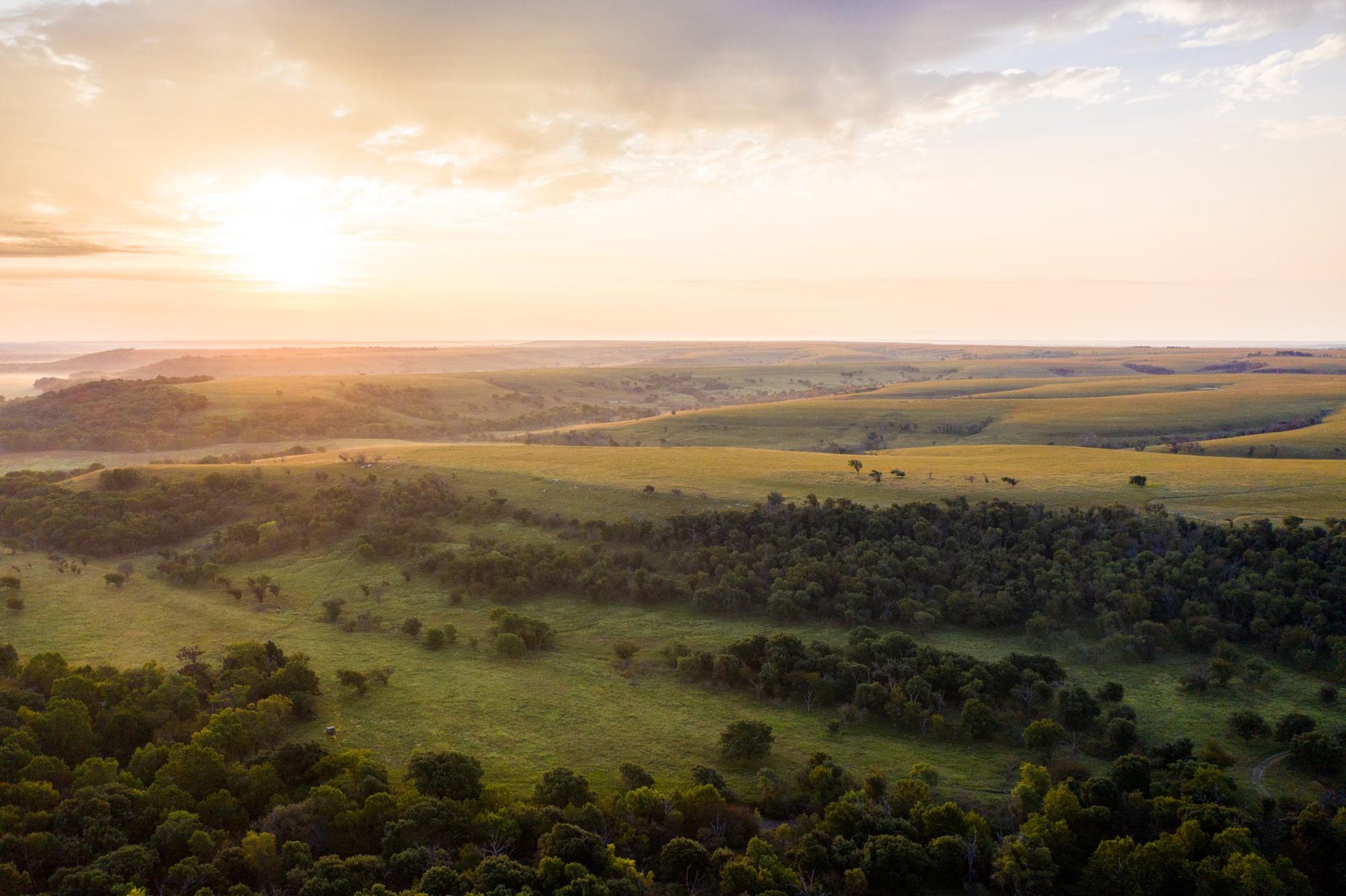 Spring Creek Ranch - Sold - Kansas - Hall and Hall