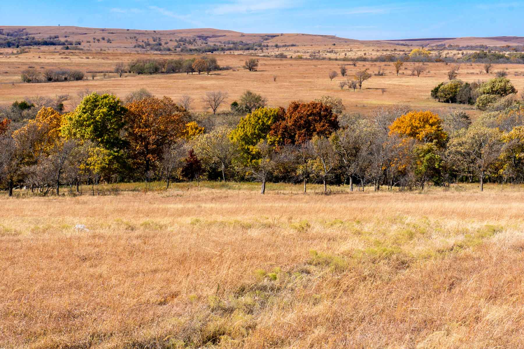 Spring Creek Ranch - Sold - Kansas - Hall and Hall