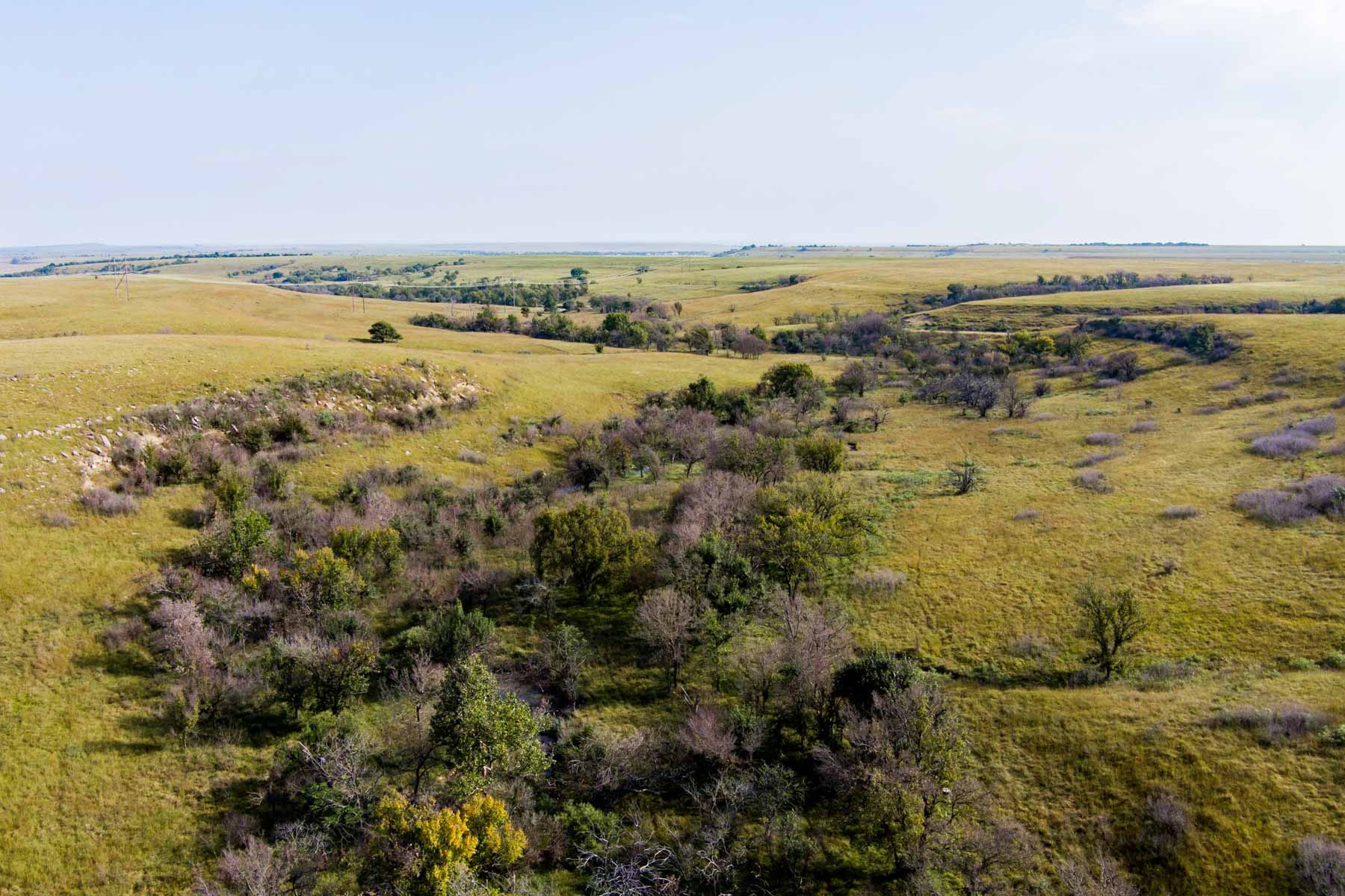 Spring Creek Ranch - Sold - Kansas - Hall and Hall