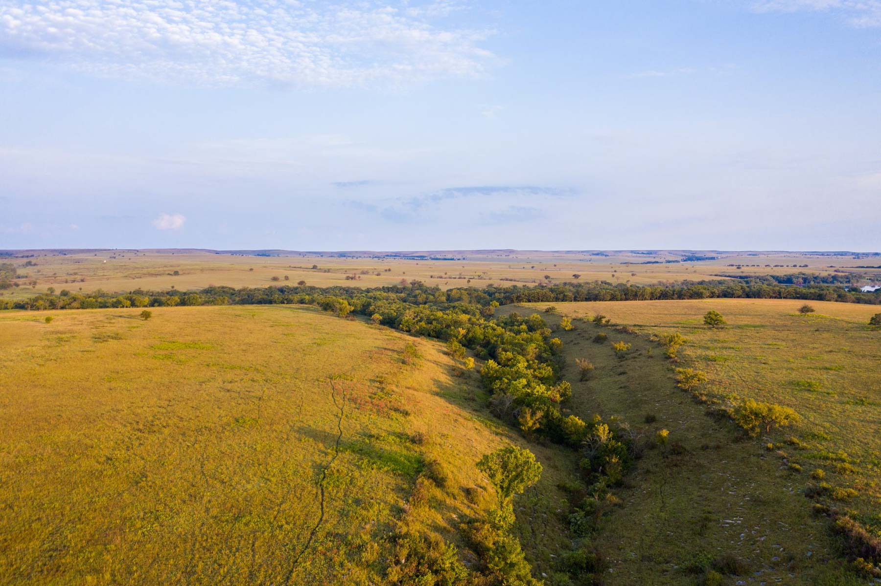 Spring Creek Ranch - Sold - Kansas - Hall and Hall