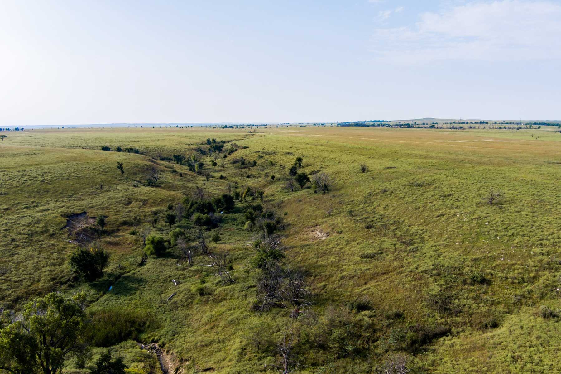 Spring Creek Ranch - Sold - Kansas - Hall and Hall