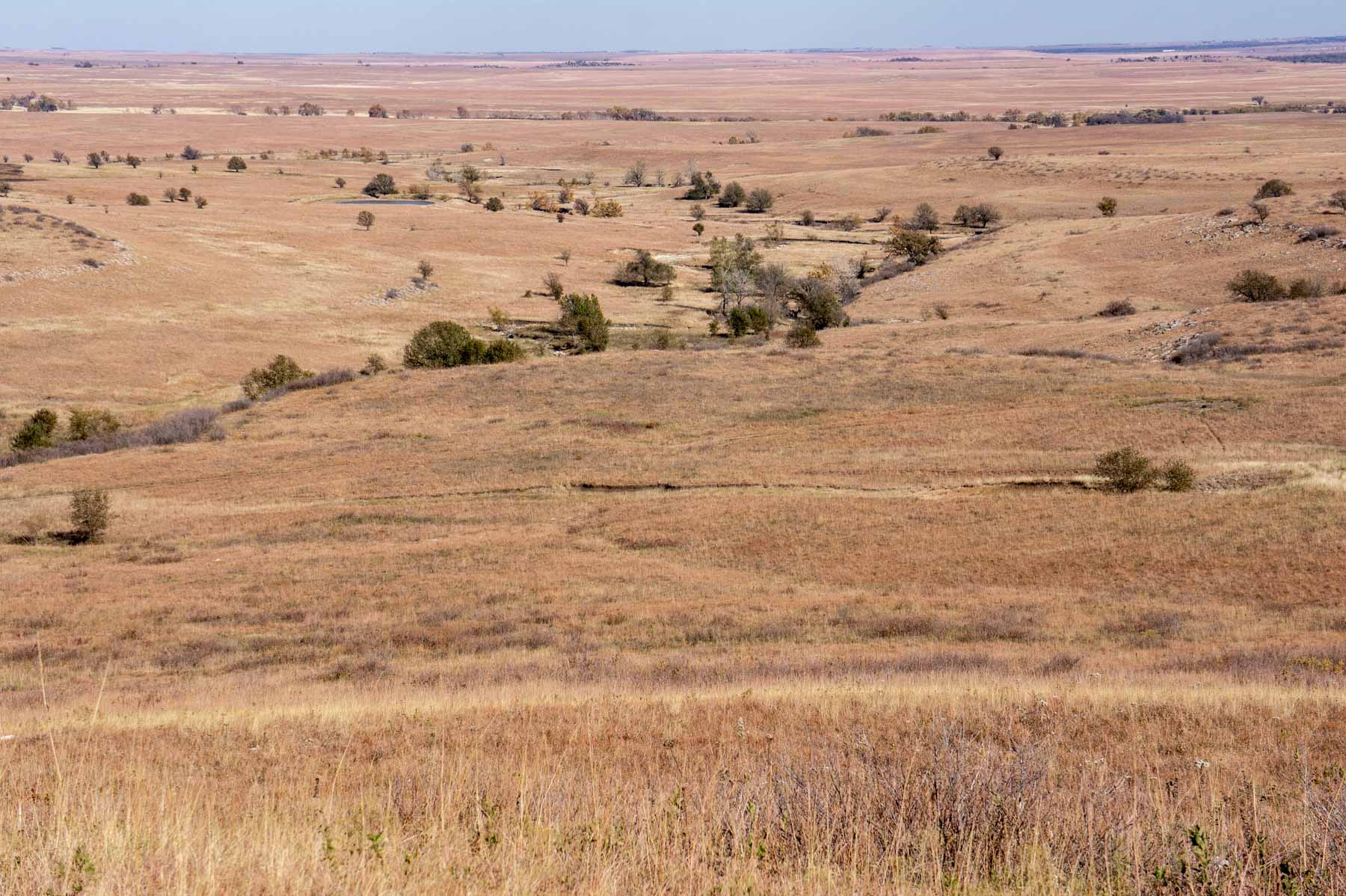 Spring Creek Ranch - Hall and Hall