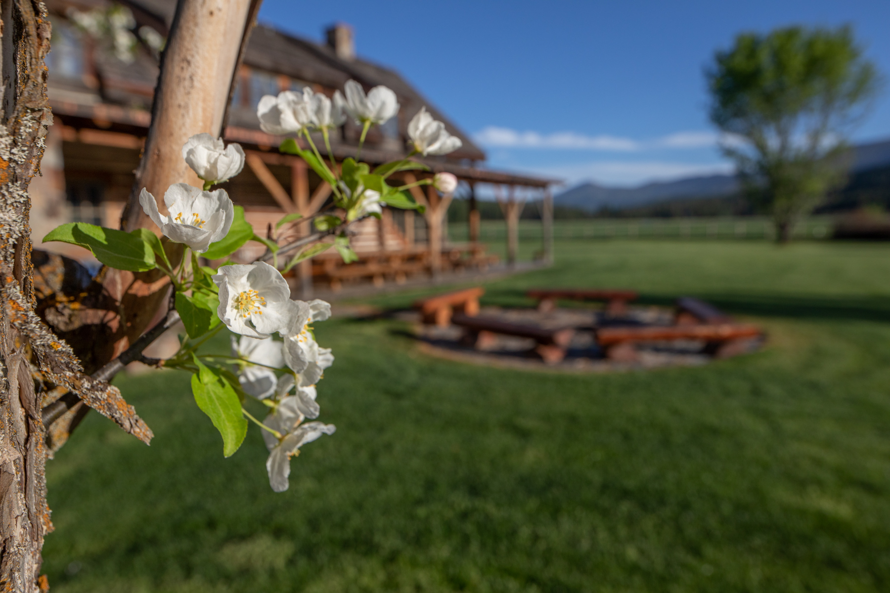 High Meadow Mountain Ranch - Sold - Montana - Hall and Hall
