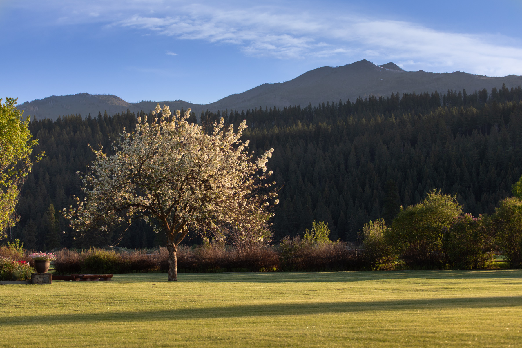 High Meadow Mountain Ranch - Sold - Montana - Hall and Hall