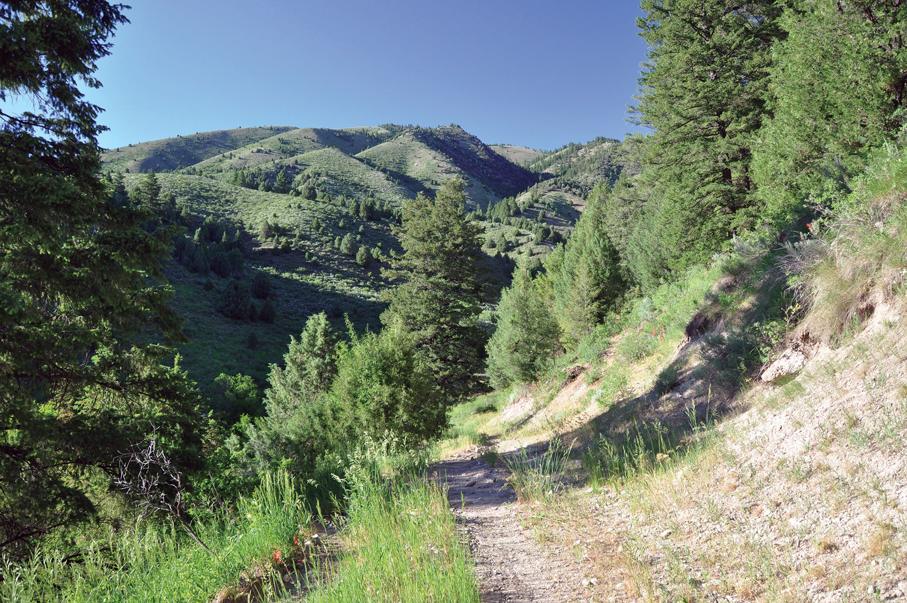 Hammer Ranch - Sold - Idaho - Hall and Hall