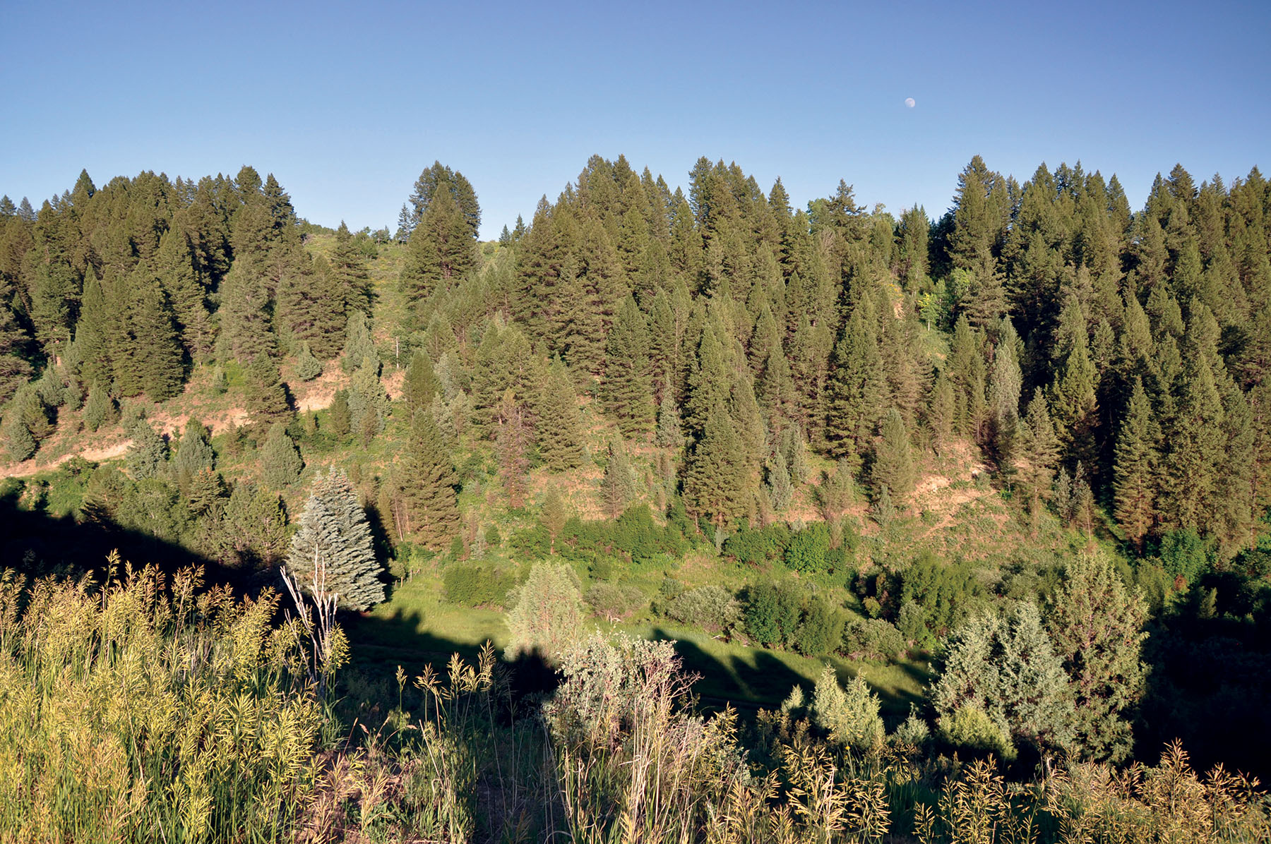 Hammer Ranch - Sold - Idaho - Hall and Hall