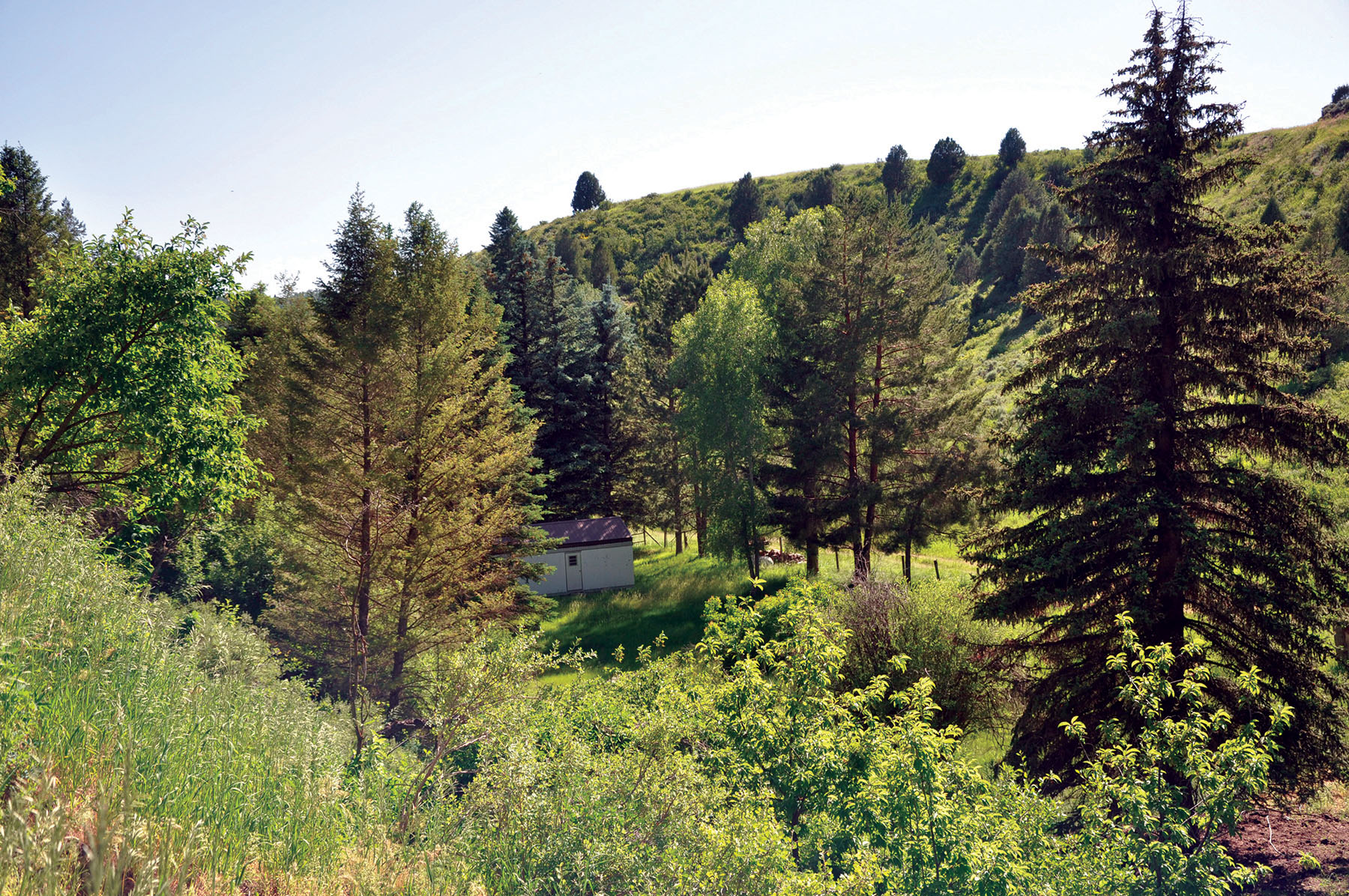 Hammer Ranch - Sold - Idaho - Hall and Hall