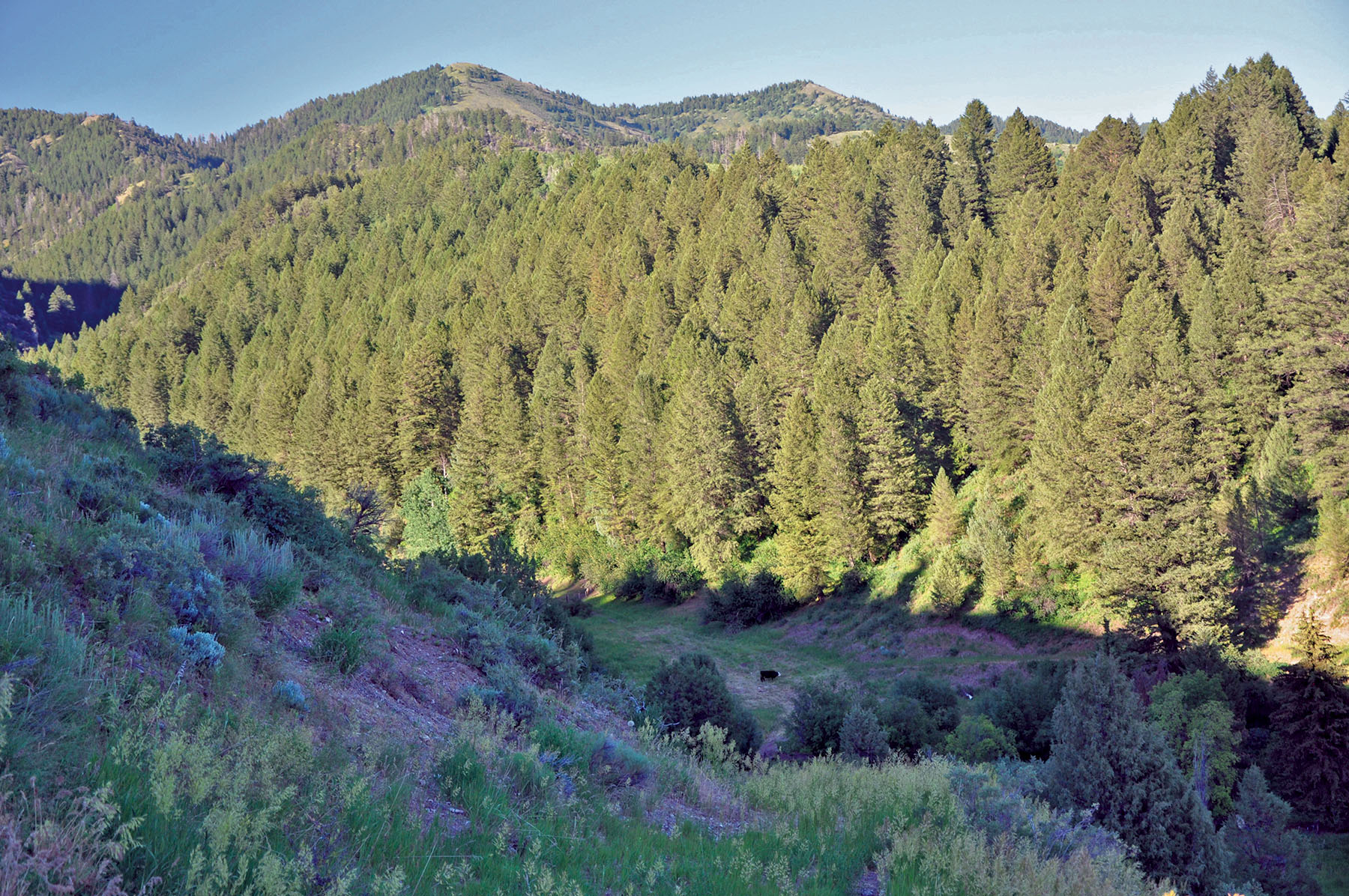 Hammer Ranch - Sold - Idaho - Hall and Hall