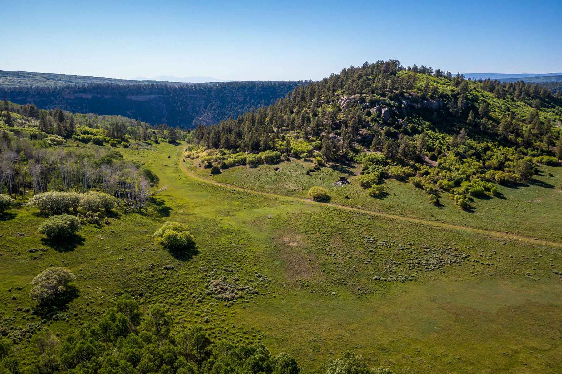 Telluride Renegade Ranch - For Sale - Colorado - Hall and Hall