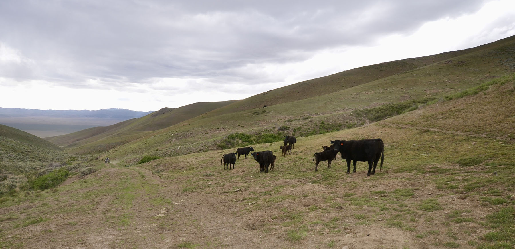 Clear Creek Ranch - Sold - Nevada - Hall and Hall