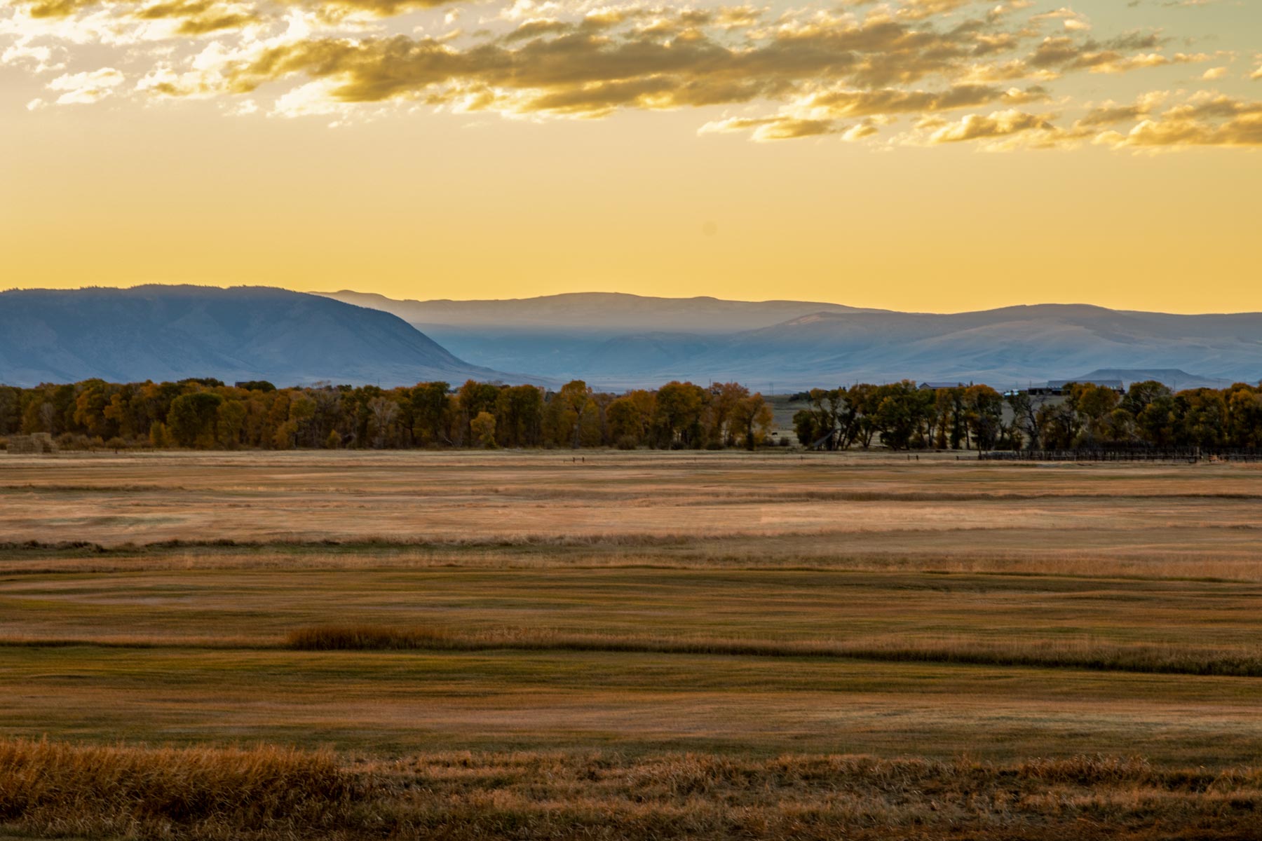 Flying Y Ranch - Hall and Hall