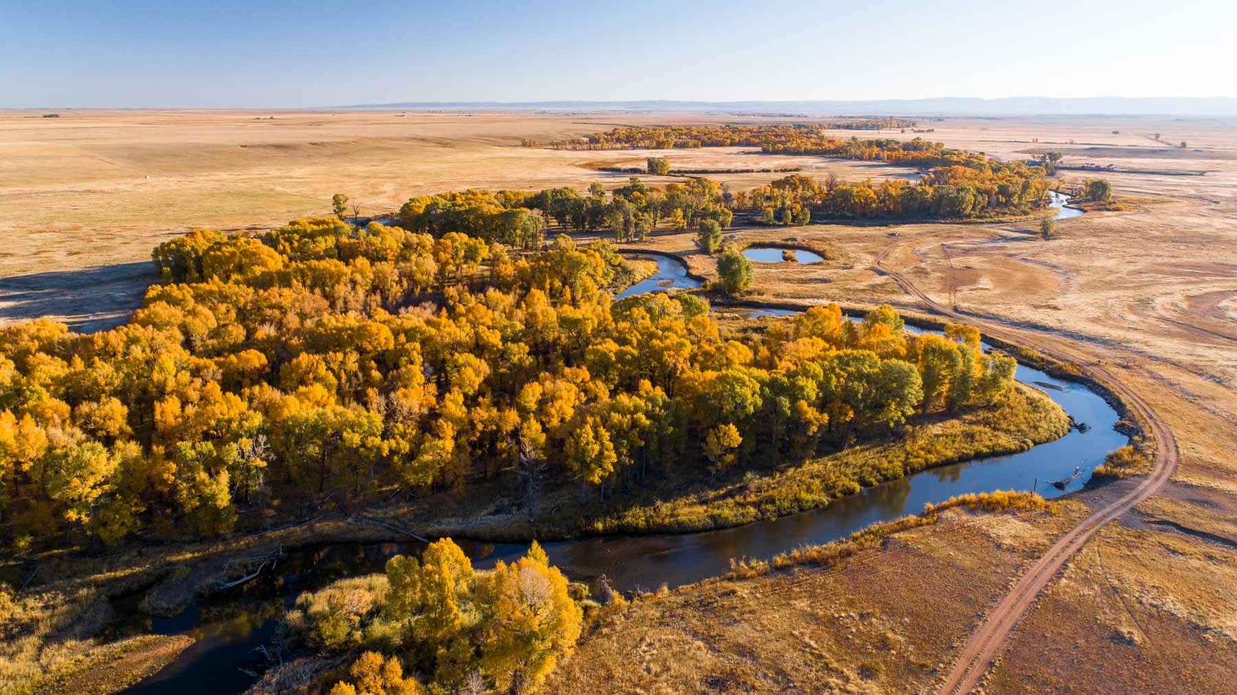 Flying Y Ranch - Hall and Hall