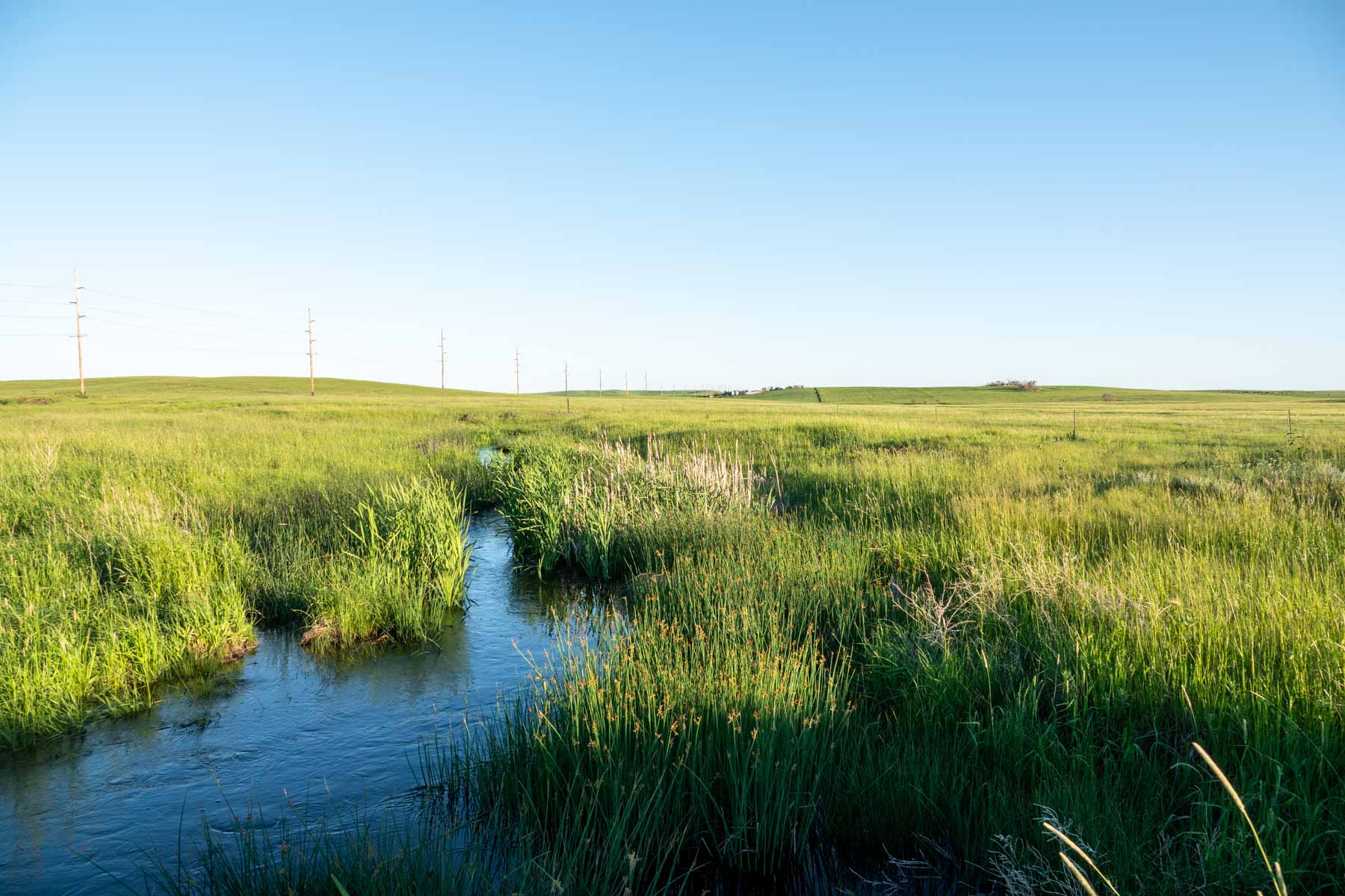 Hansen Ranch - Sold - Montana - Hall and Hall