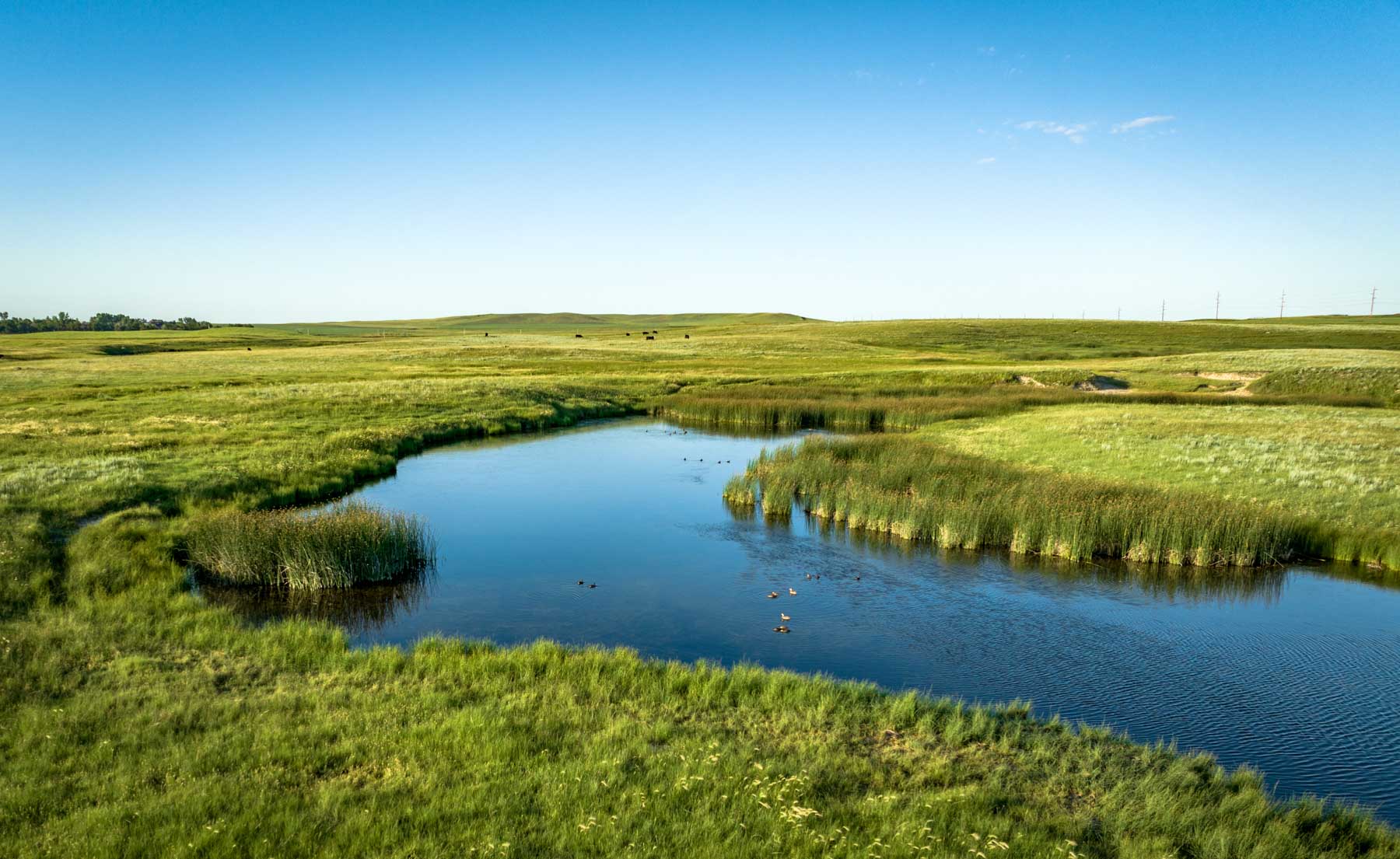 Hansen Ranch - Sold - Montana - Hall and Hall