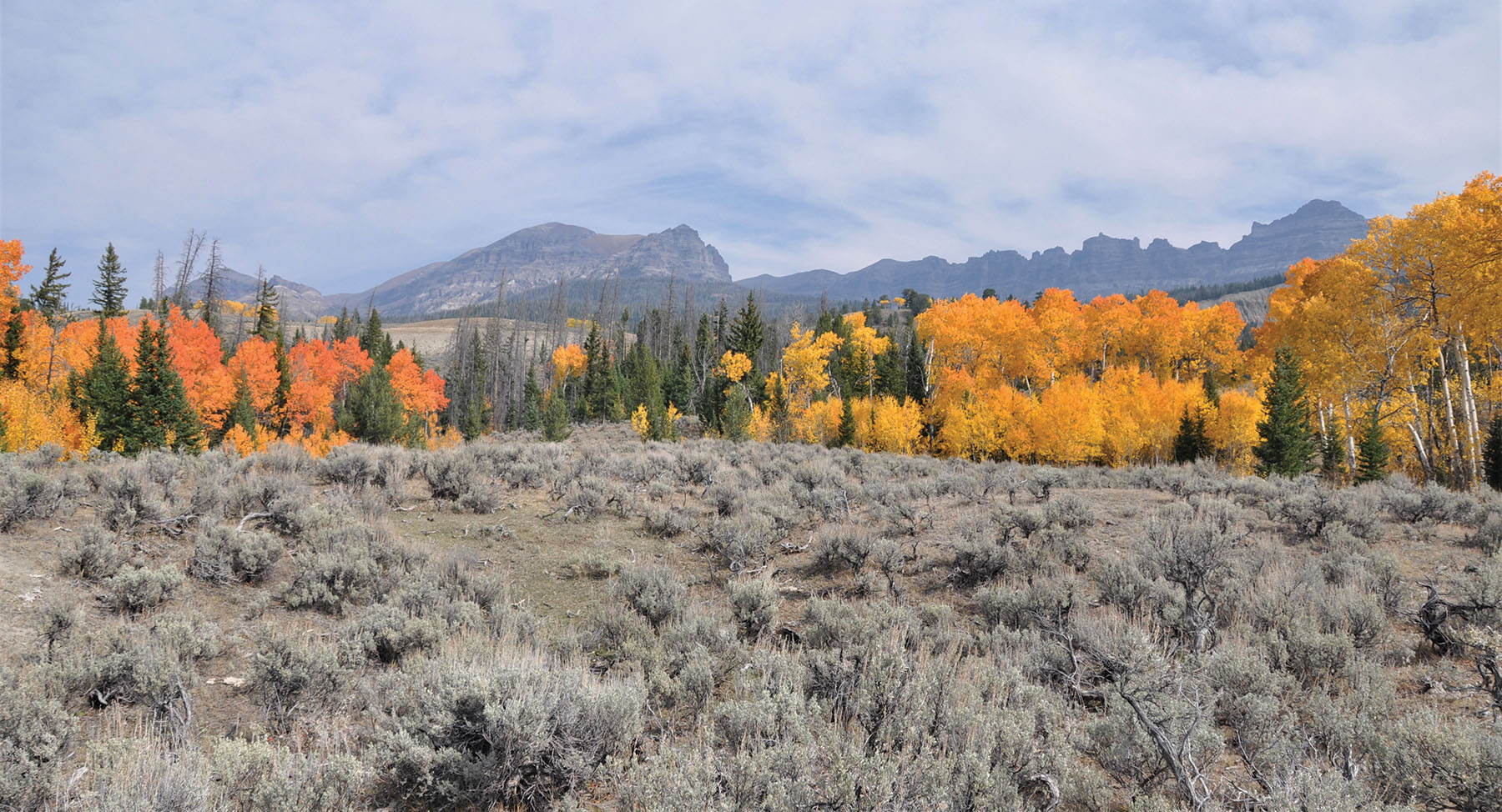 Diamond G Ranch - Sold - Wyoming - Hall and Hall