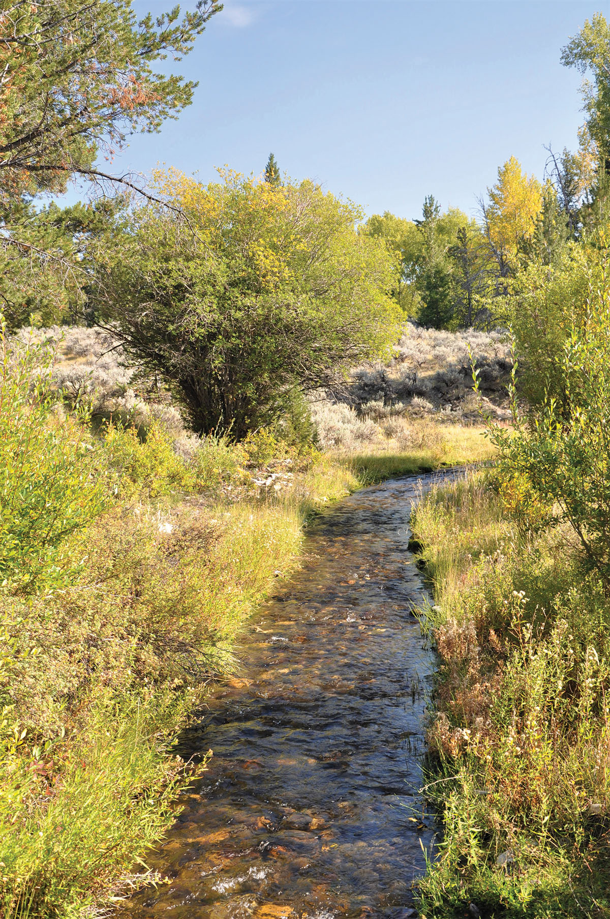 Diamond G Ranch - Sold - Wyoming - Hall and Hall