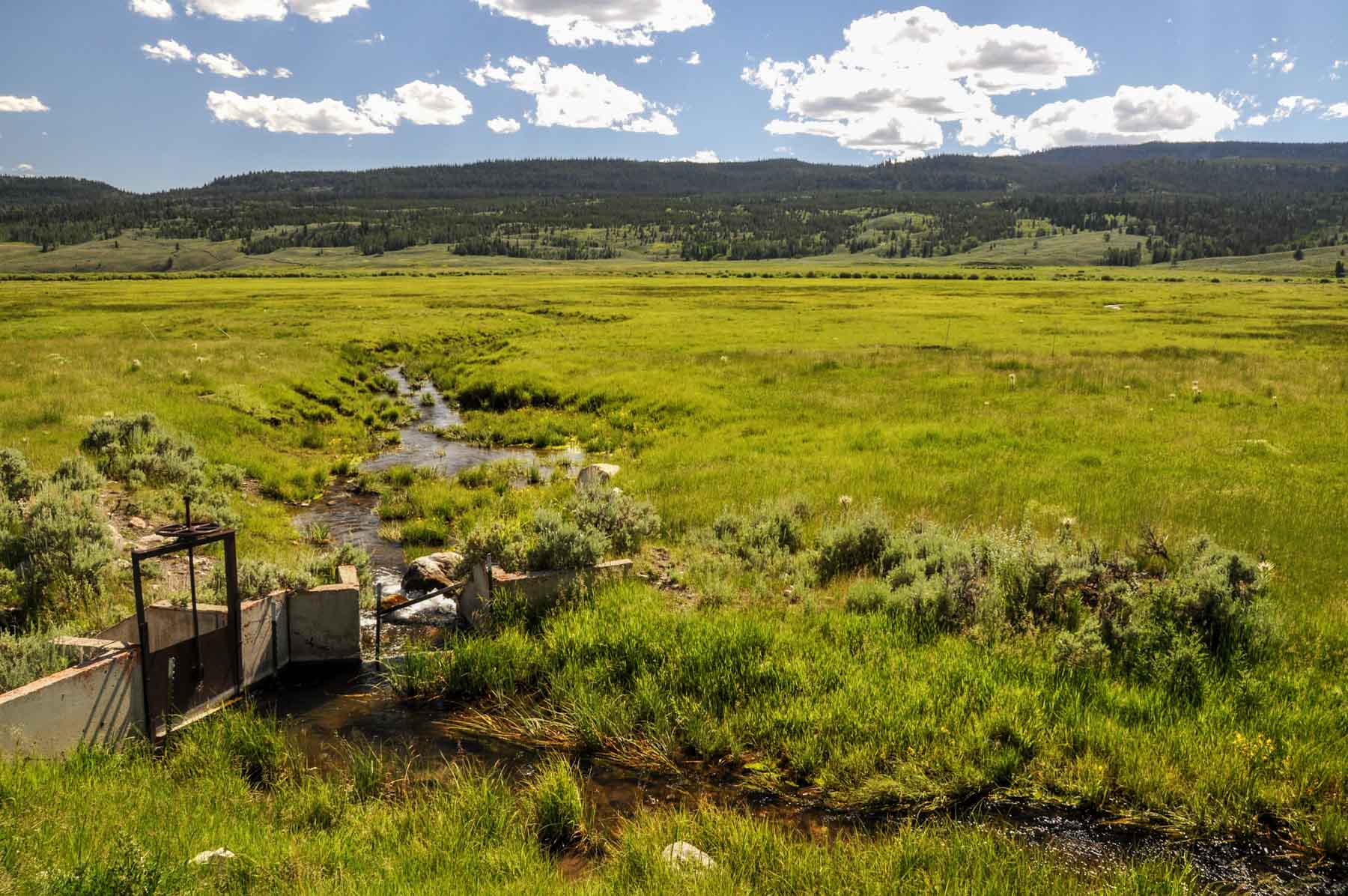 Diamond G Ranch - Sold - Wyoming - Hall and Hall