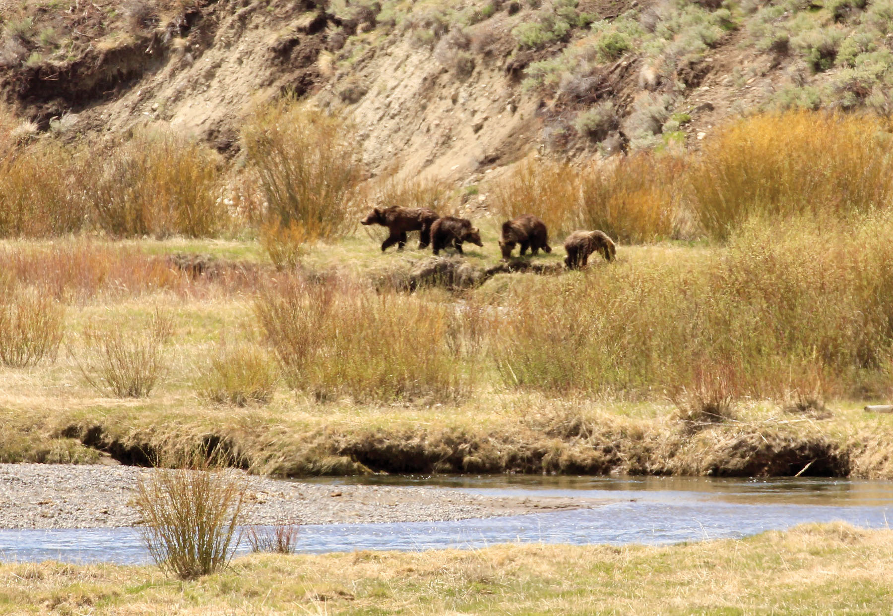 Diamond G Ranch - Sold - Wyoming - Hall and Hall