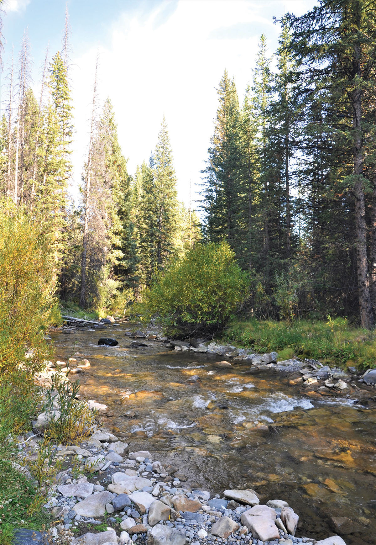 Diamond G Ranch - Sold - Wyoming - Hall and Hall