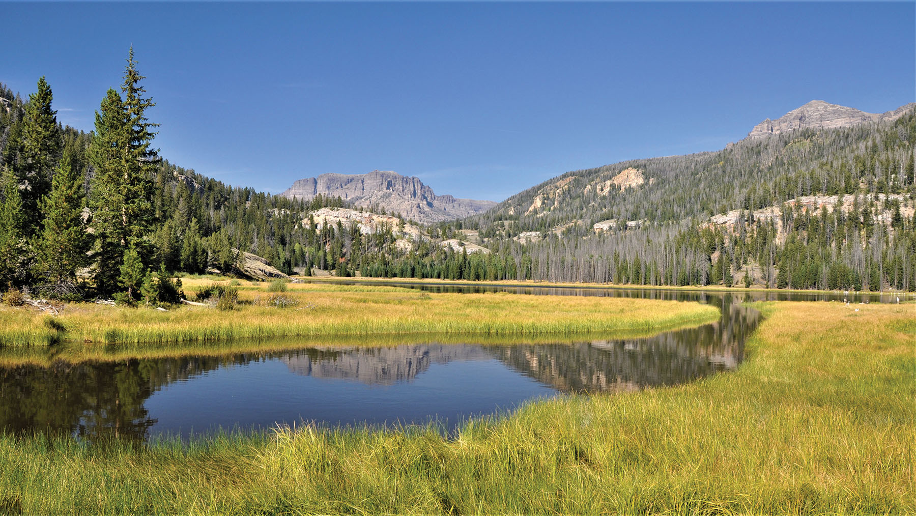 Diamond G Ranch - Sold - Wyoming - Hall and Hall