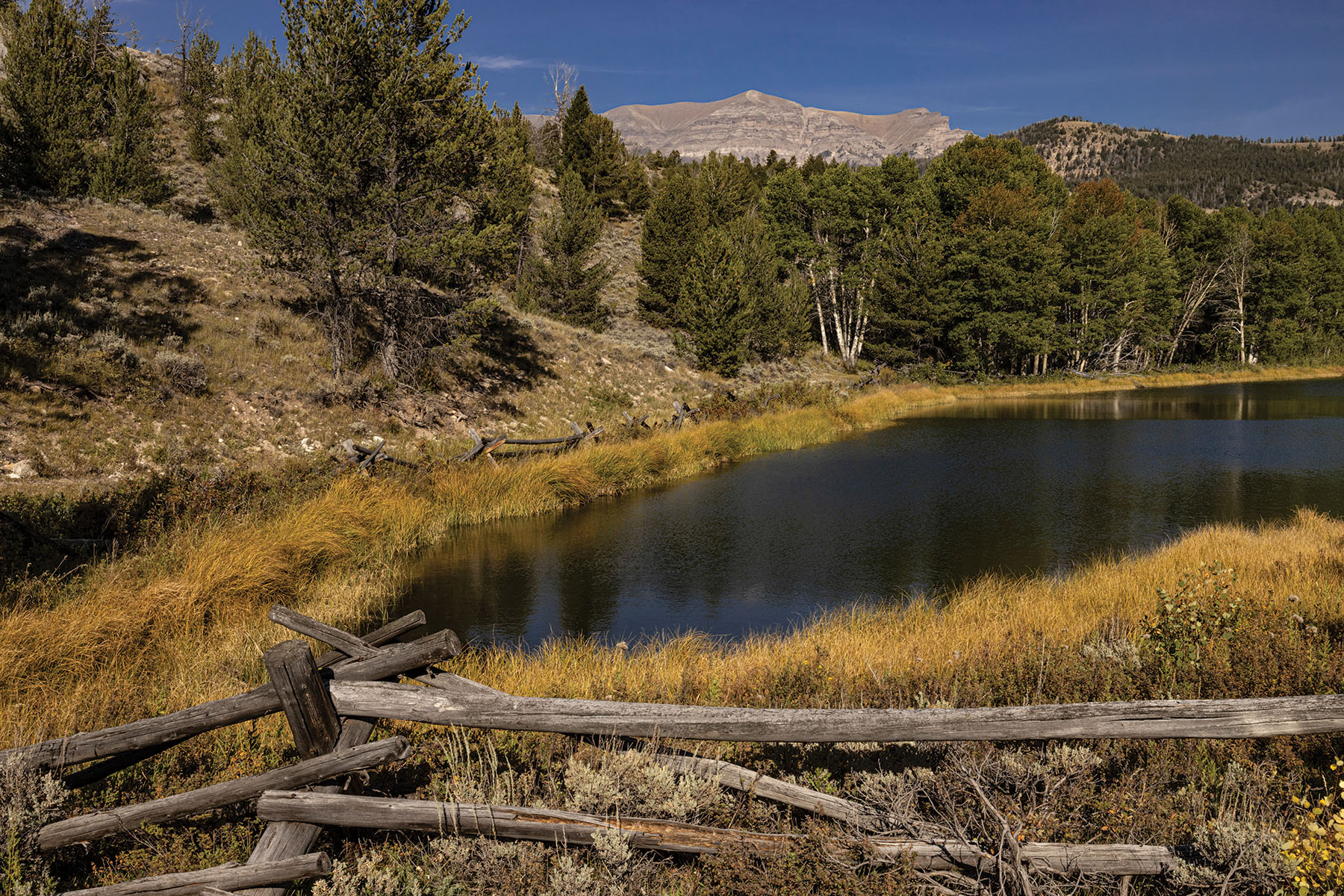 Diamond G Ranch - Sold - Wyoming - Hall and Hall