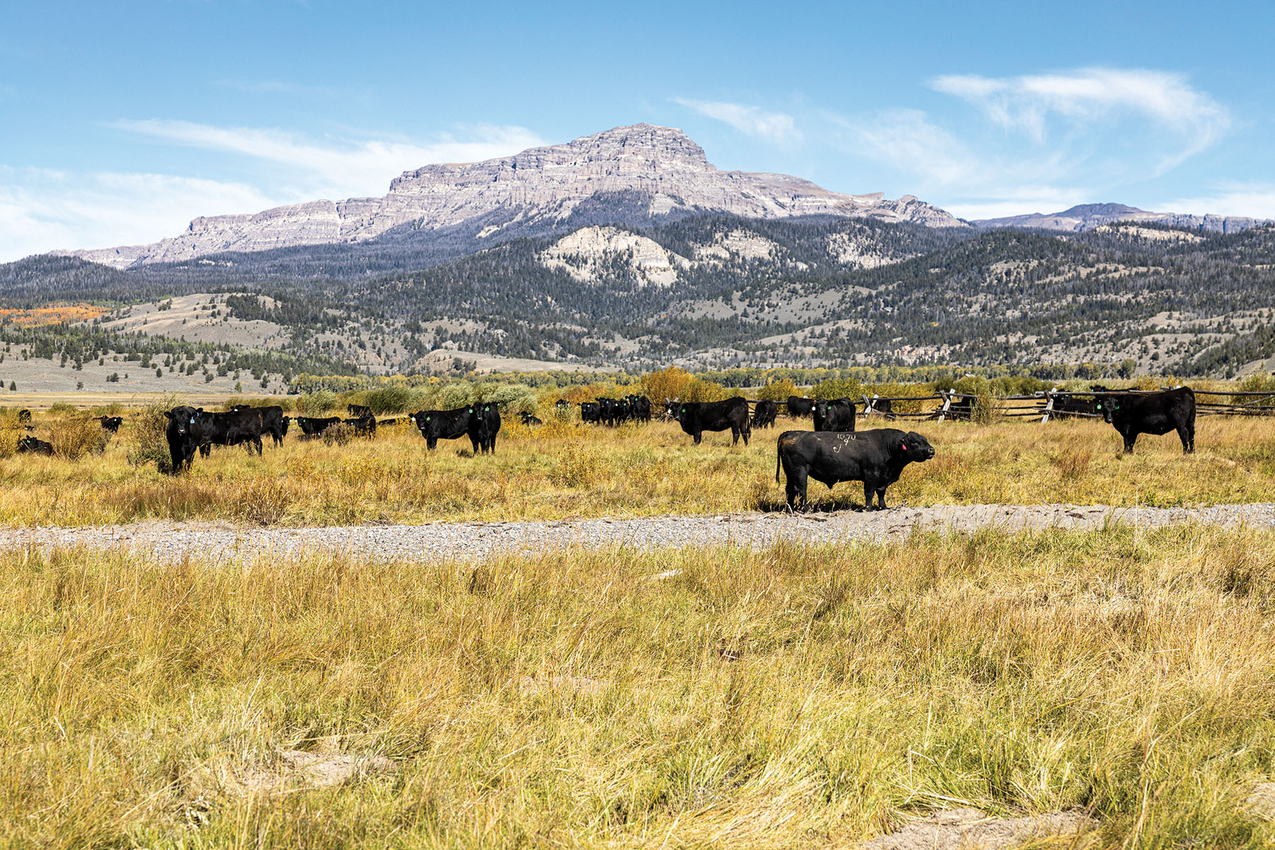 Diamond G Ranch - Sold - Wyoming - Hall and Hall