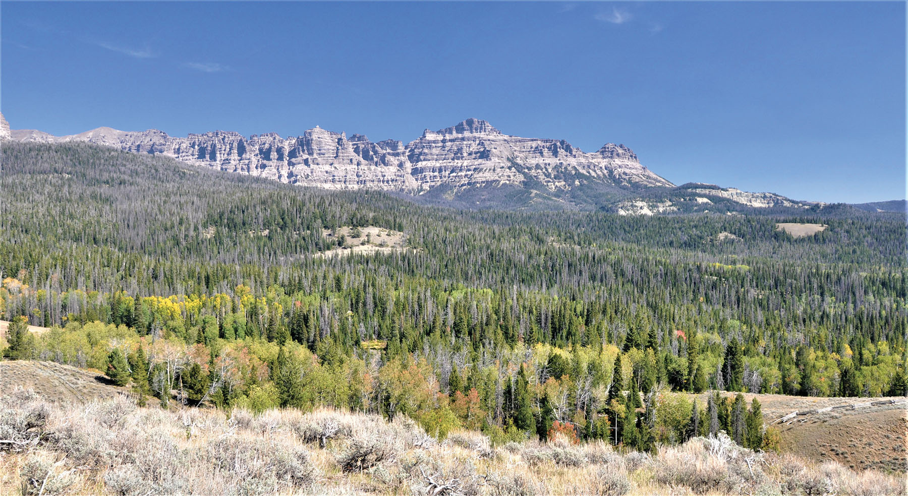 Diamond G Ranch - Sold - Wyoming - Hall and Hall