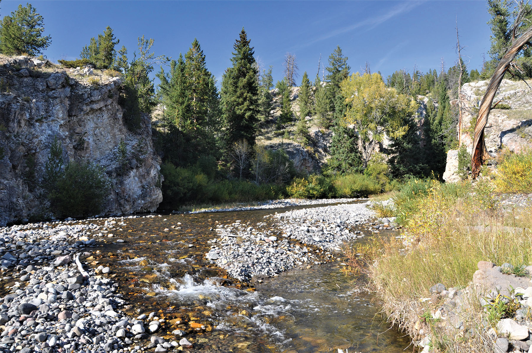 Diamond G Ranch - Sold - Wyoming - Hall and Hall