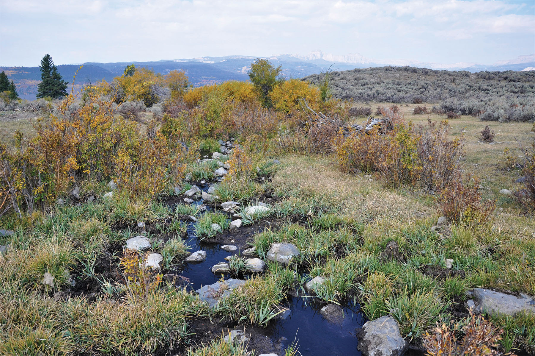 Diamond G Ranch - Sold - Wyoming - Hall and Hall