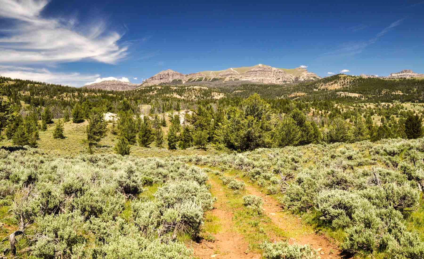 Diamond G Ranch - Sold - Wyoming - Hall and Hall