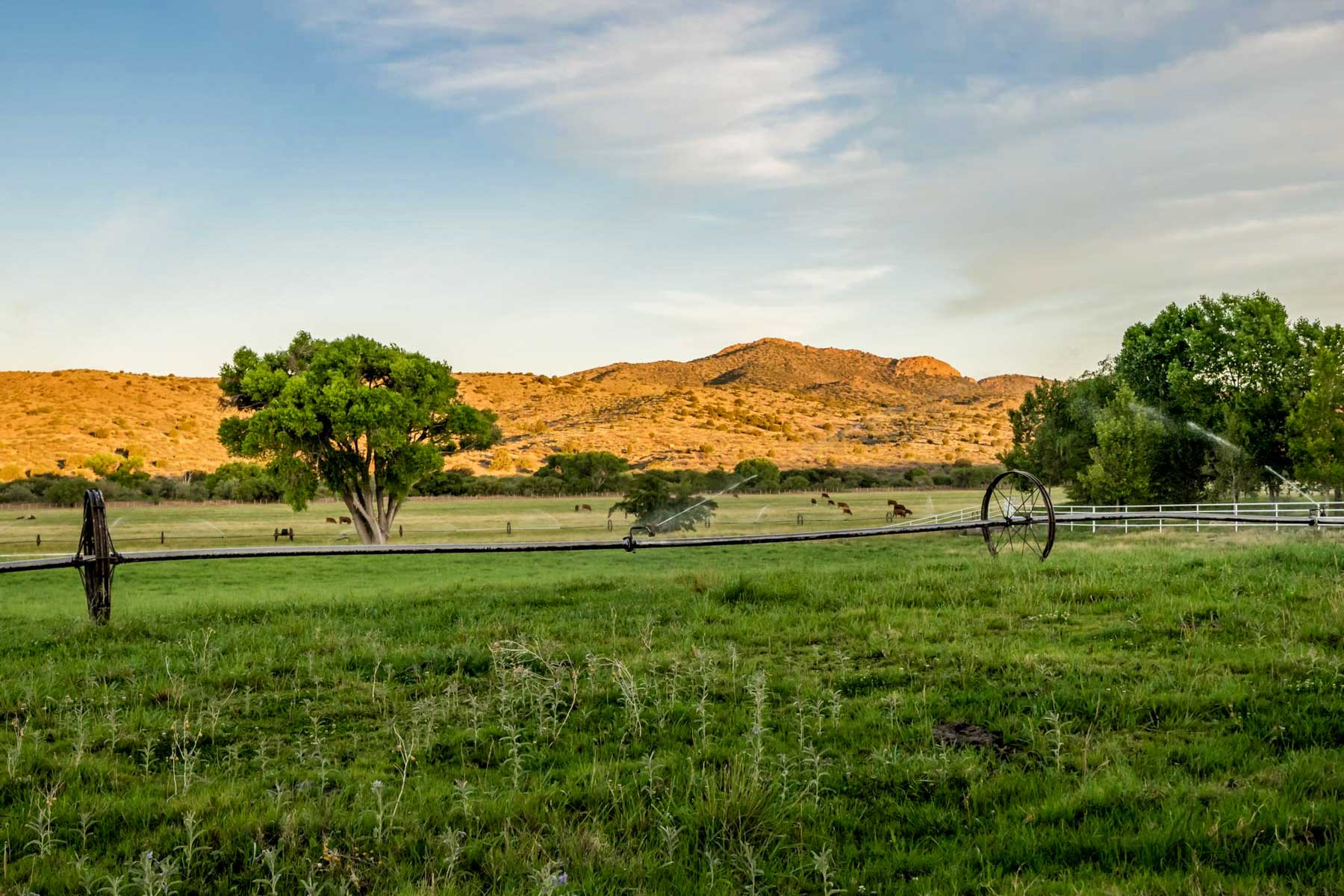 X Lazy B Ranch - Sold - Arizona - Hall and Hall