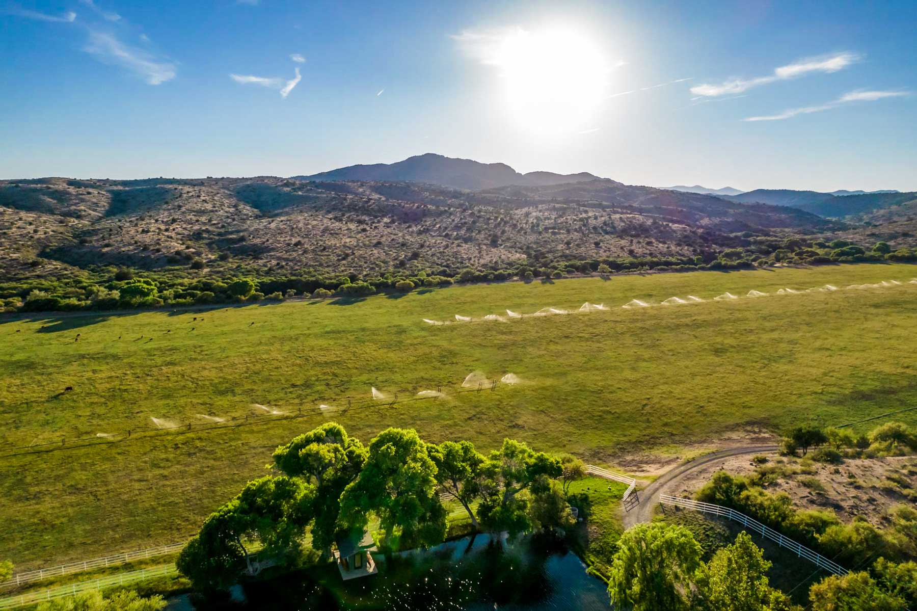 X Lazy B Ranch - Sold - Arizona - Hall and Hall