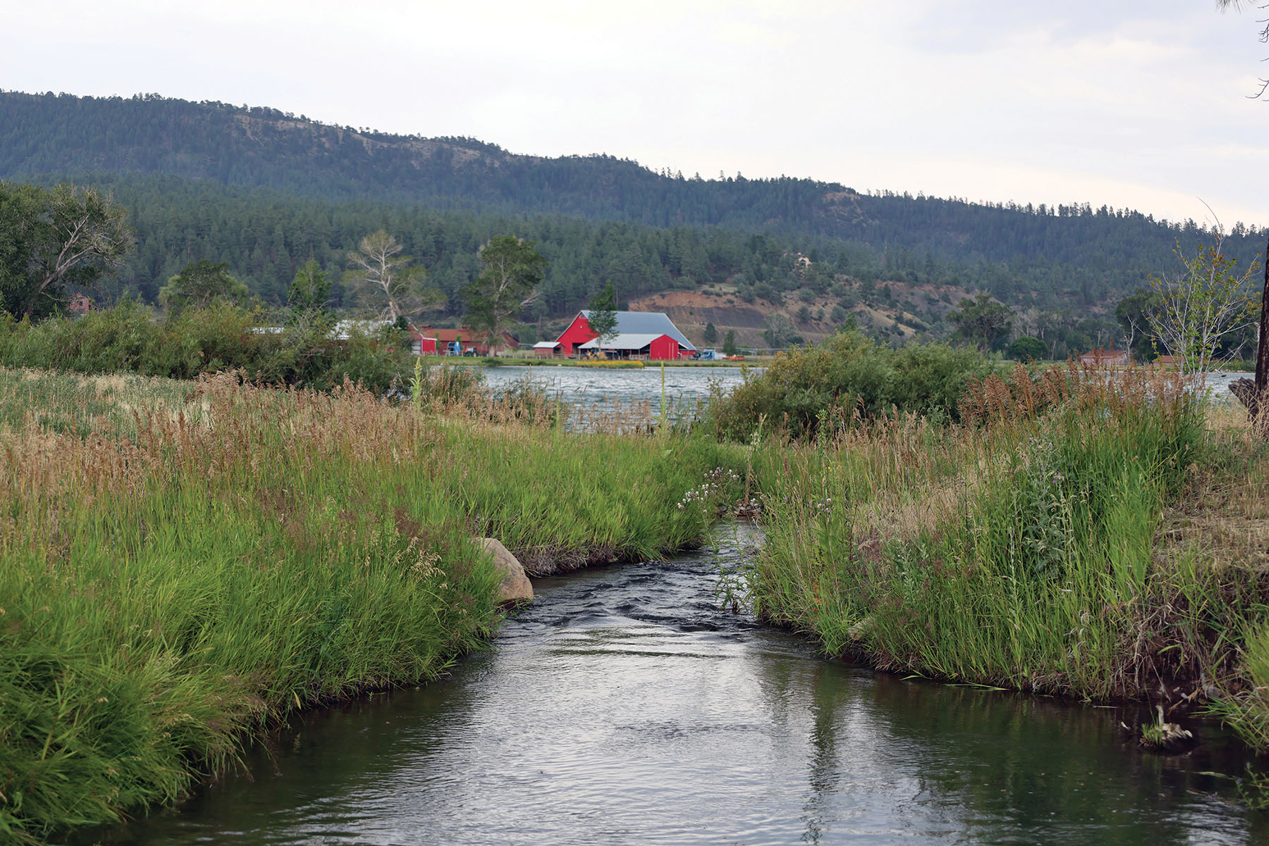 Rocking River Ranch - Sold - Colorado - Hall and Hall