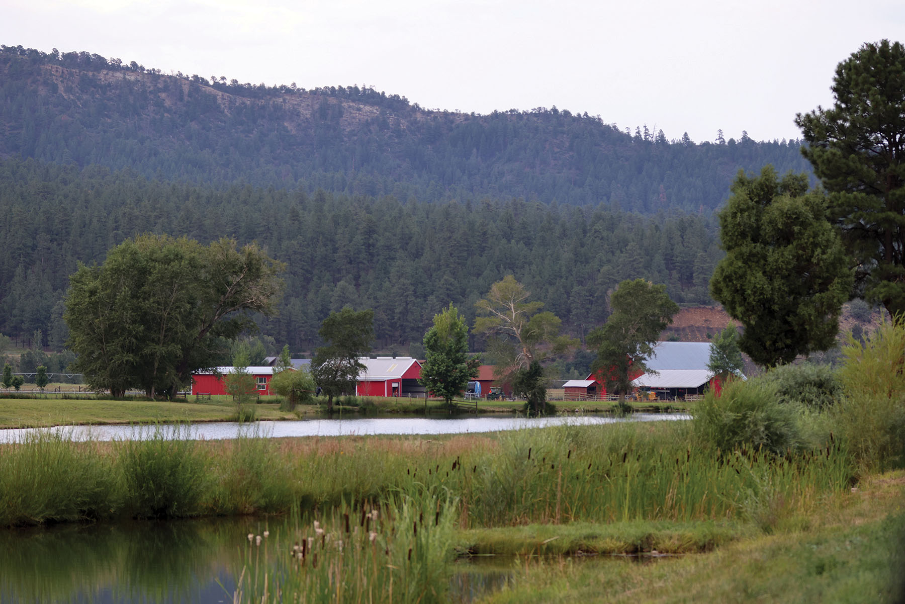 Rocking River Ranch - Hall and Hall