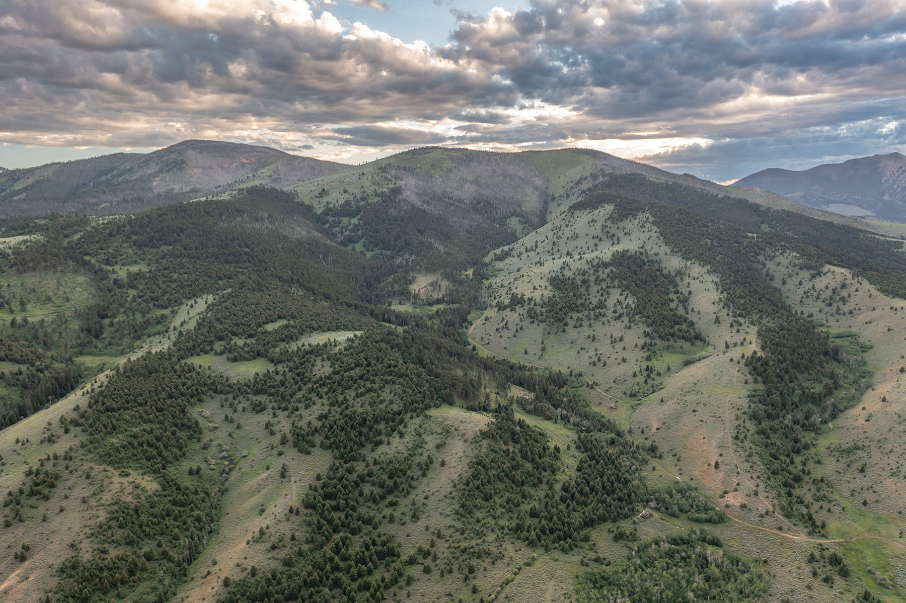 Strawberry Ridge Cabin - Sold - Montana - Hall and Hall