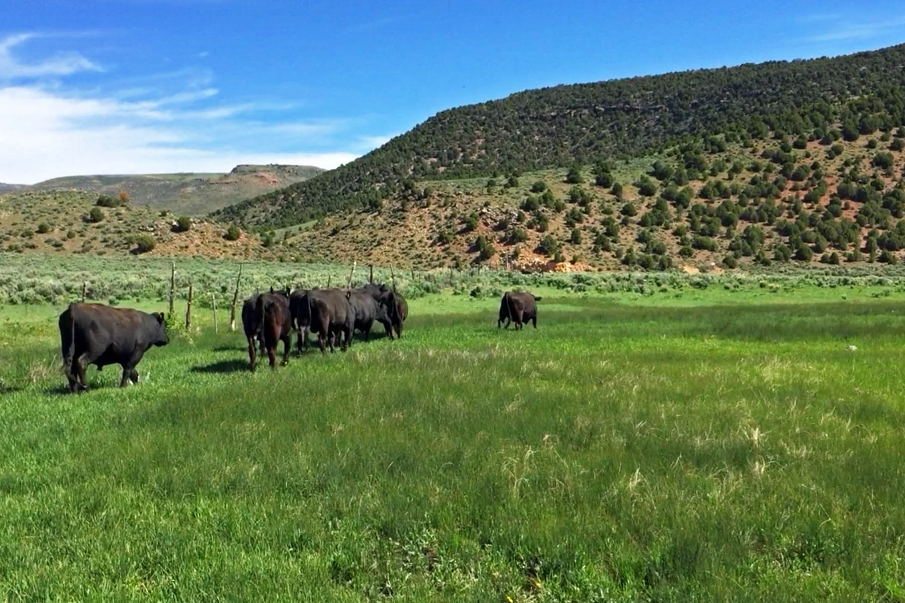 Three Springs Ranch - Sold - Colorado - Hall and Hall