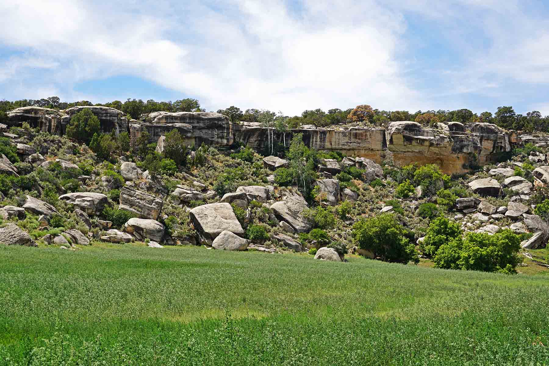 Three Springs Ranch - Sold - Colorado - Hall and Hall