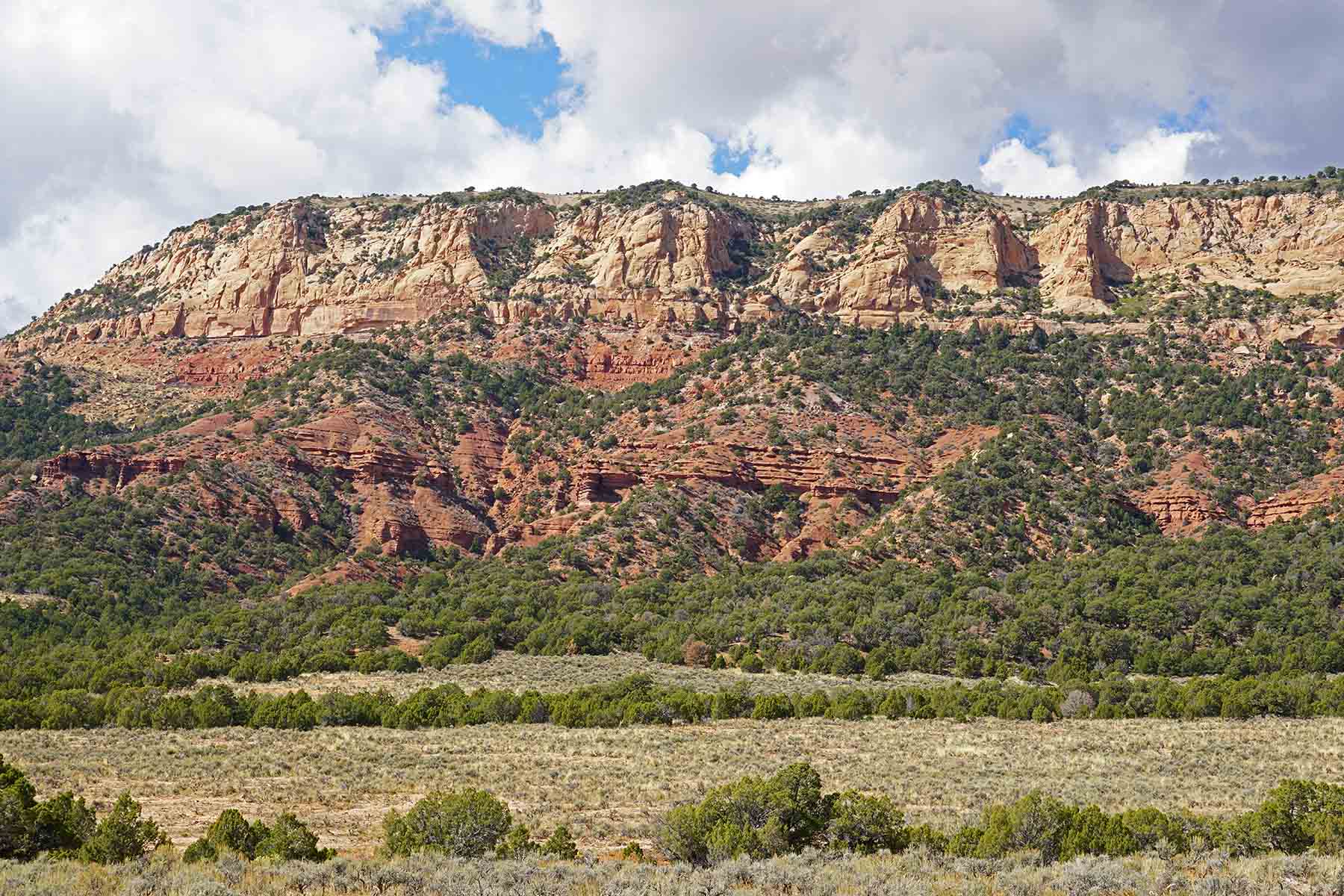 Three Springs Ranch - Sold - Colorado - Hall and Hall