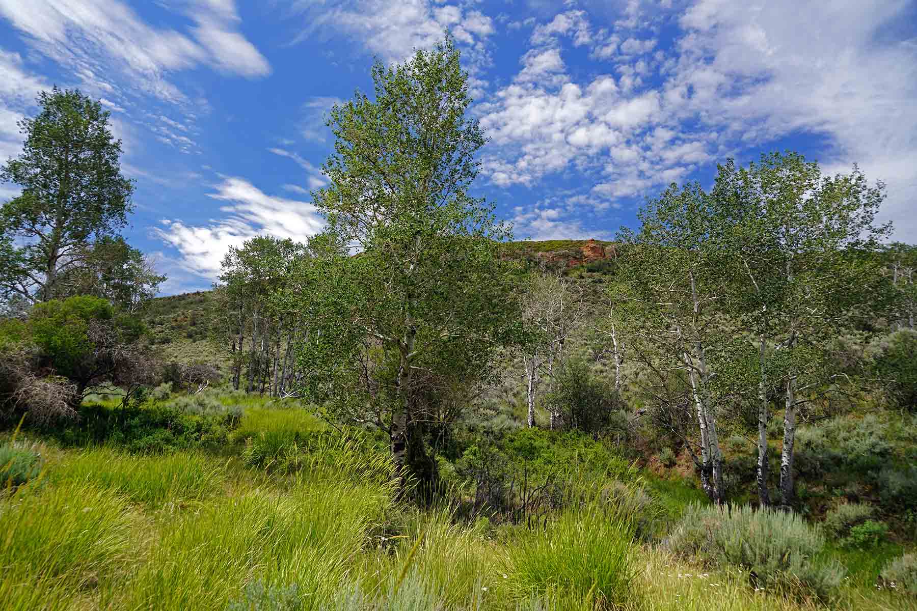 Three Springs Ranch - Sold - Colorado - Hall and Hall